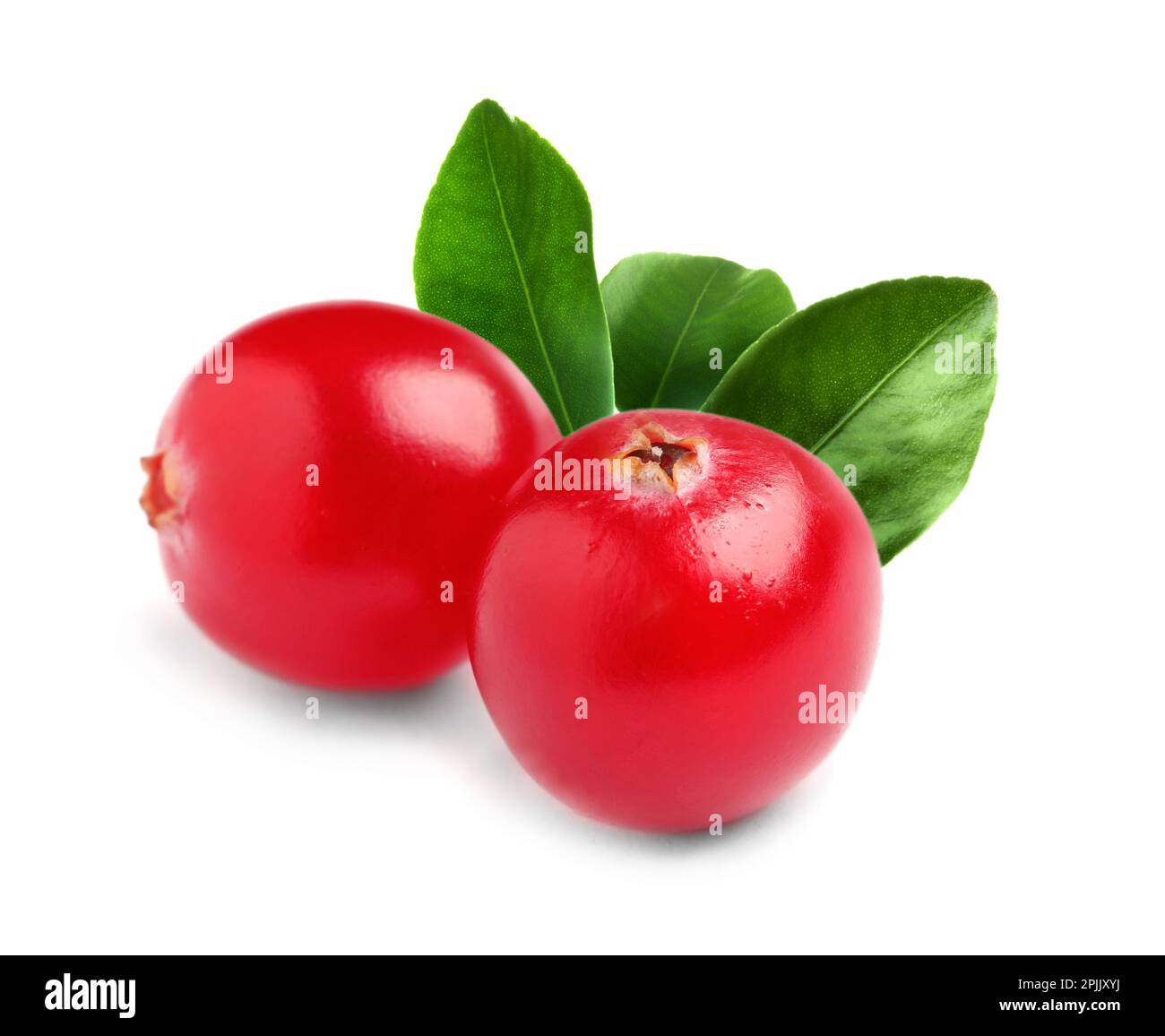 Fresh ripe red cranberries and green leaves on white background Stock ...