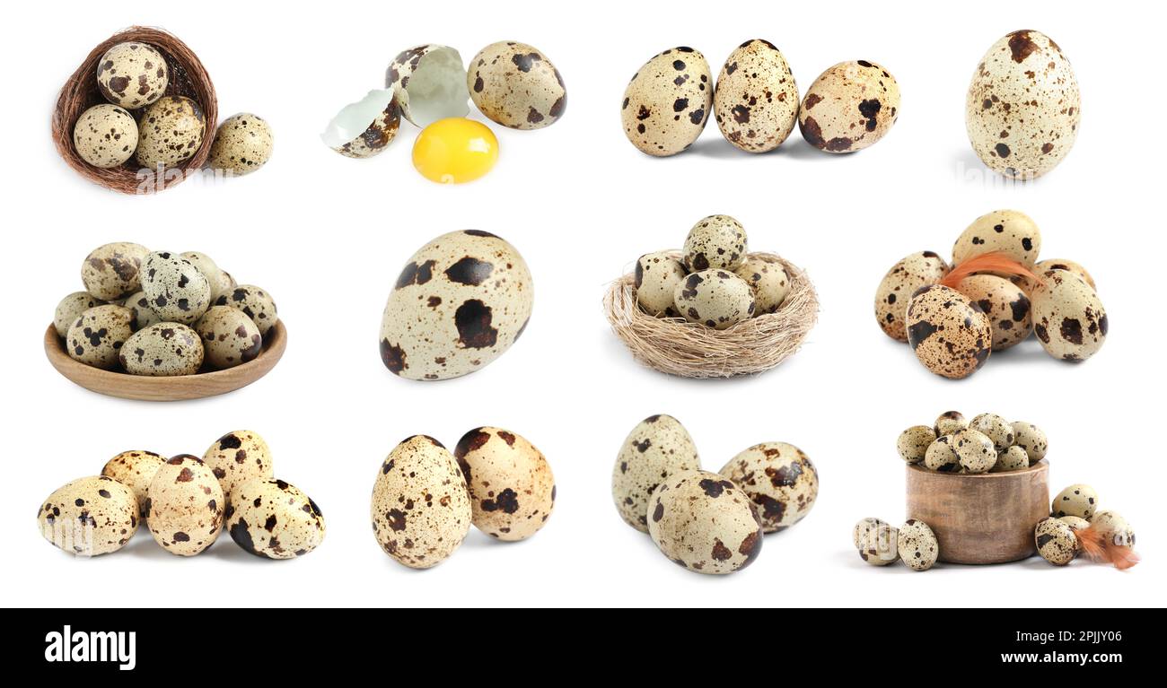 Set with quail eggs on white background. Banner design Stock Photo - Alamy