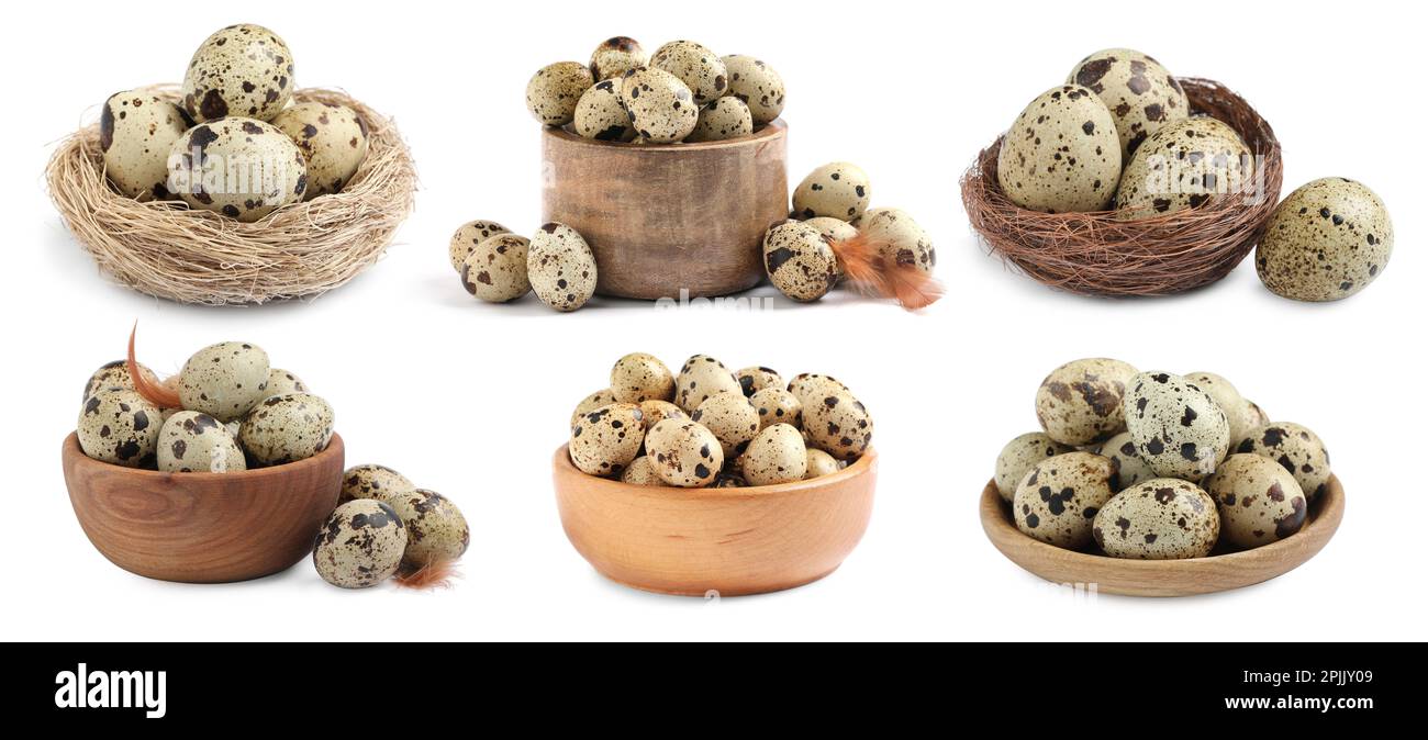 Set with quail eggs on white background. Banner design Stock Photo - Alamy