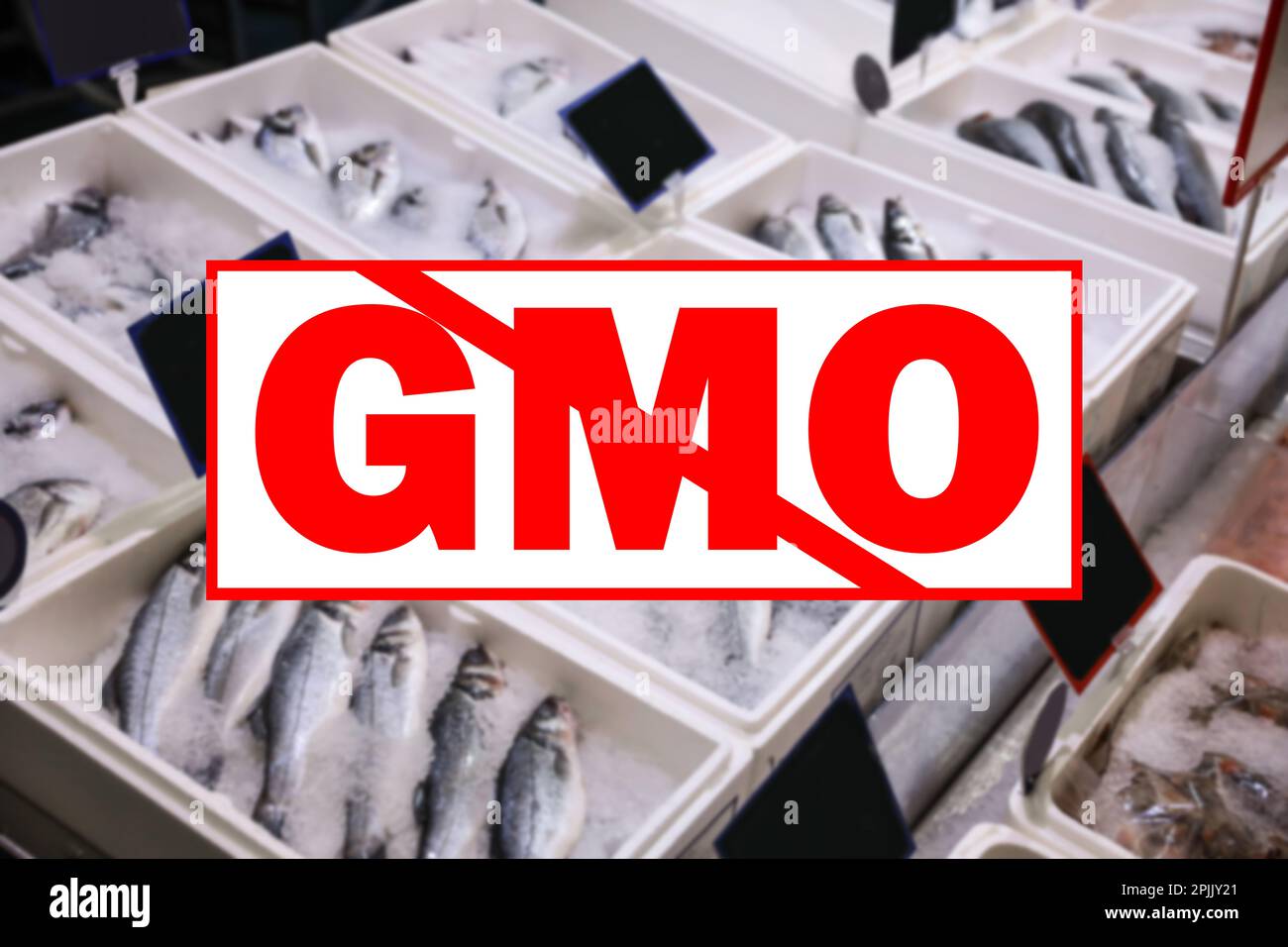 GMO free products. Blurred view of fresh fish on display with ice at wholesale market Stock ...