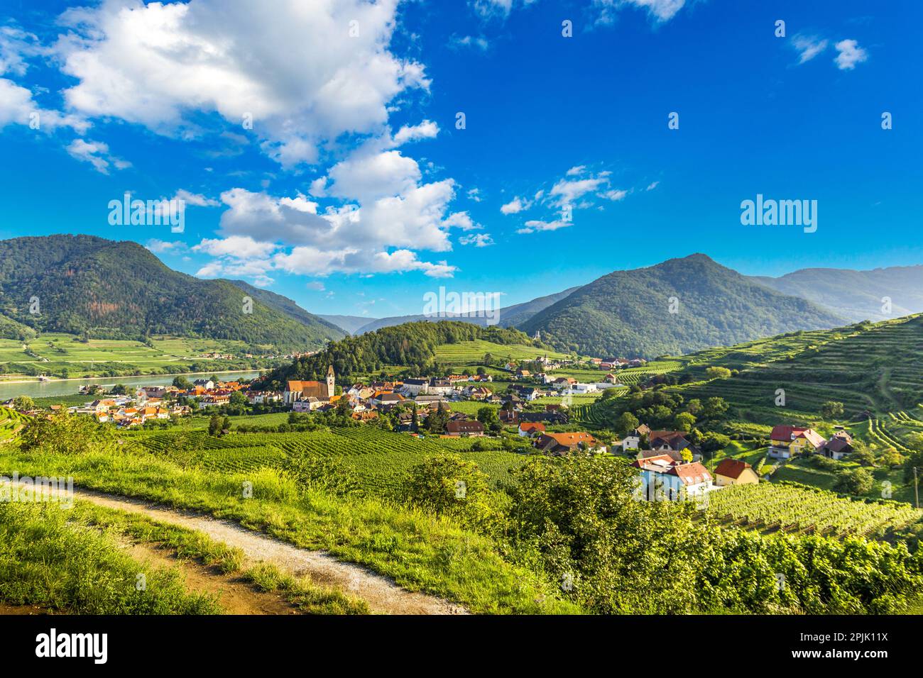 Scenic View into the Wachau valley with Danube river. Spitz town ...