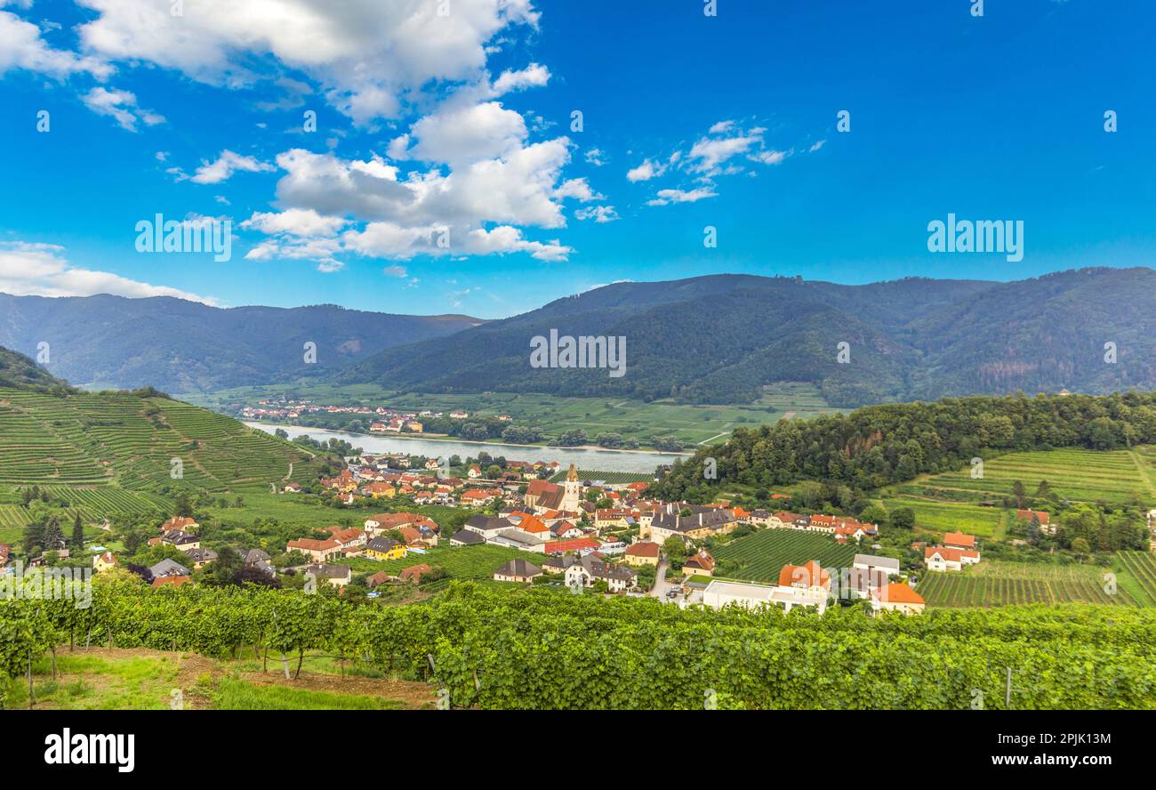 View into the Wachau valley with Danube river. Austria Stock Photo - Alamy