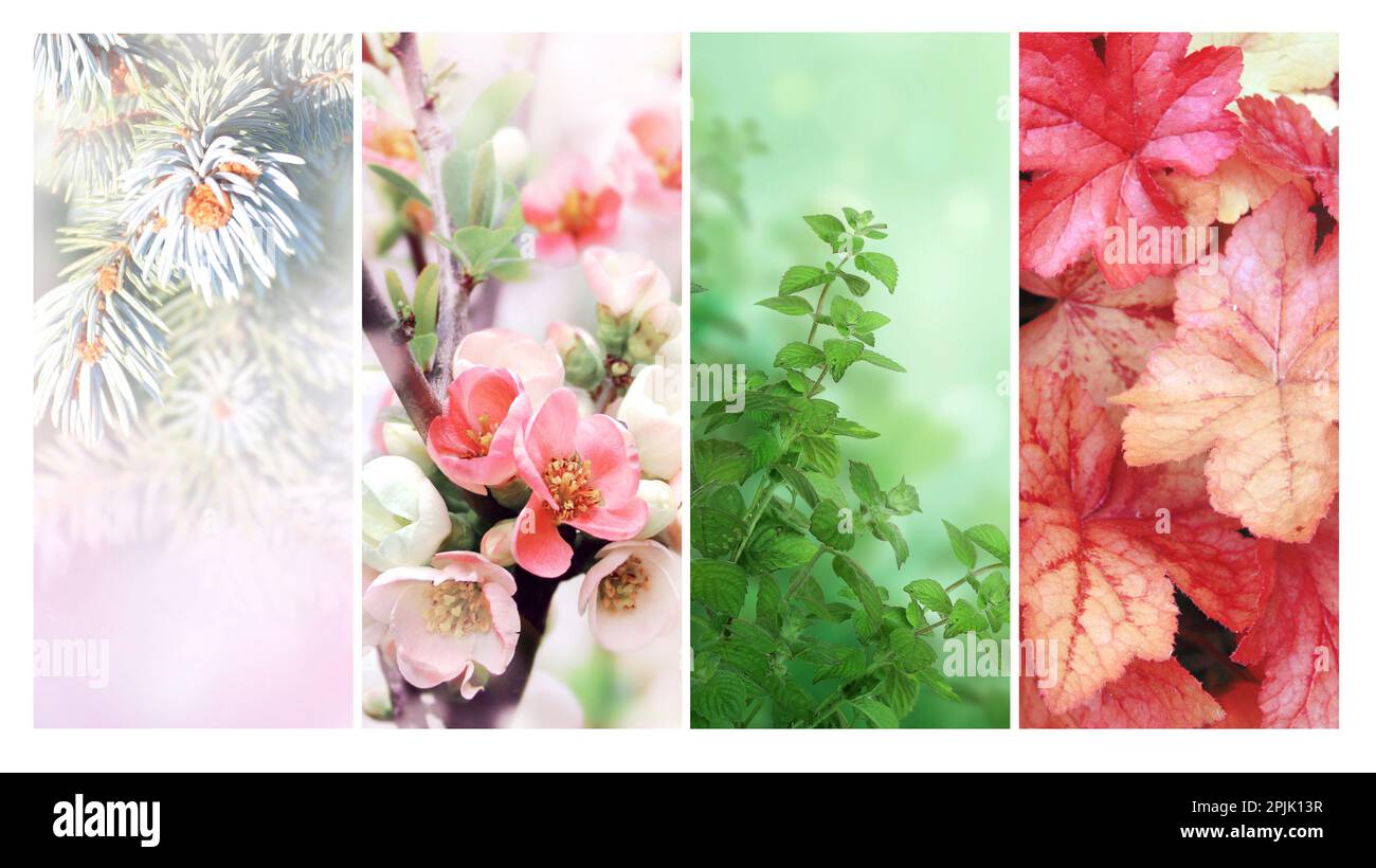 Four seasons of year. Set of vertical nature banners with winter ...