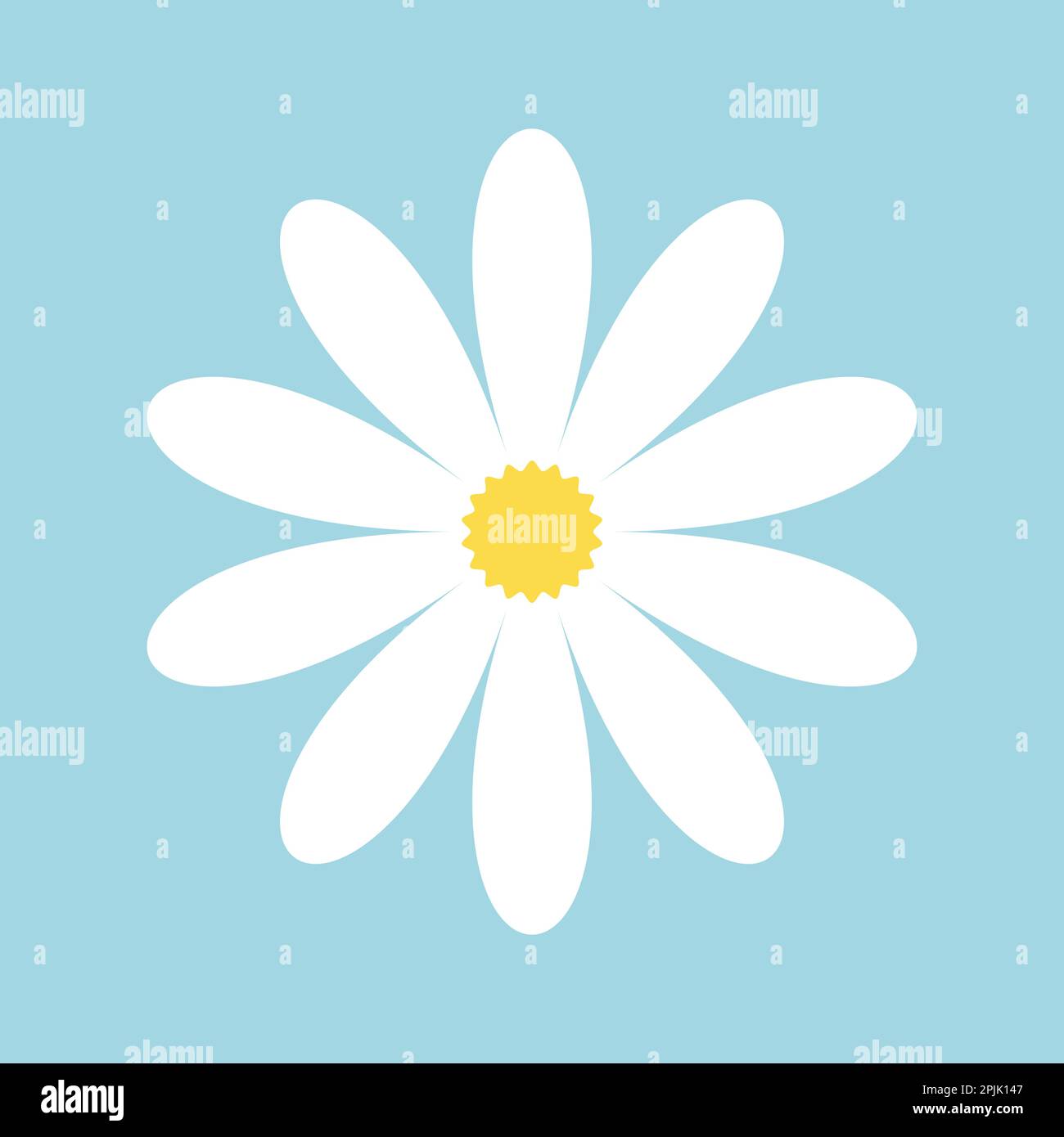 Daisy icon. Chamomile vector icon isolated Stock Vector Image & Art - Alamy