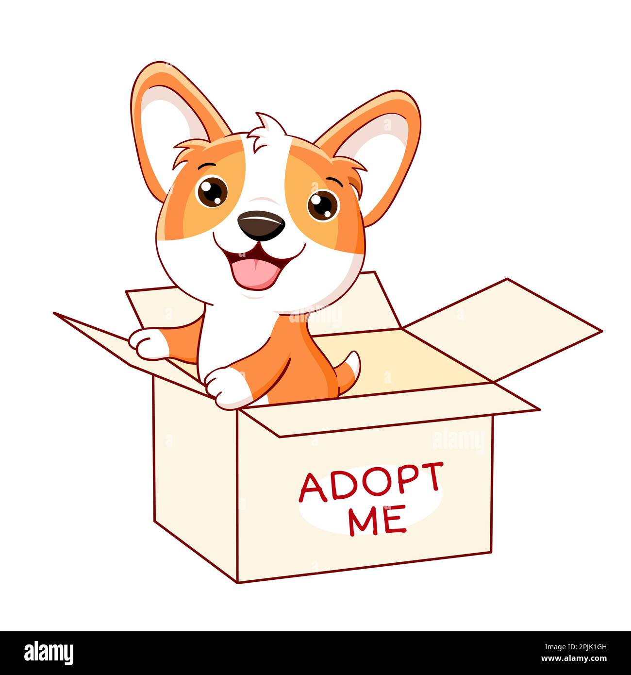 Little Dog Adoption at Jackson Guilfoyle blog