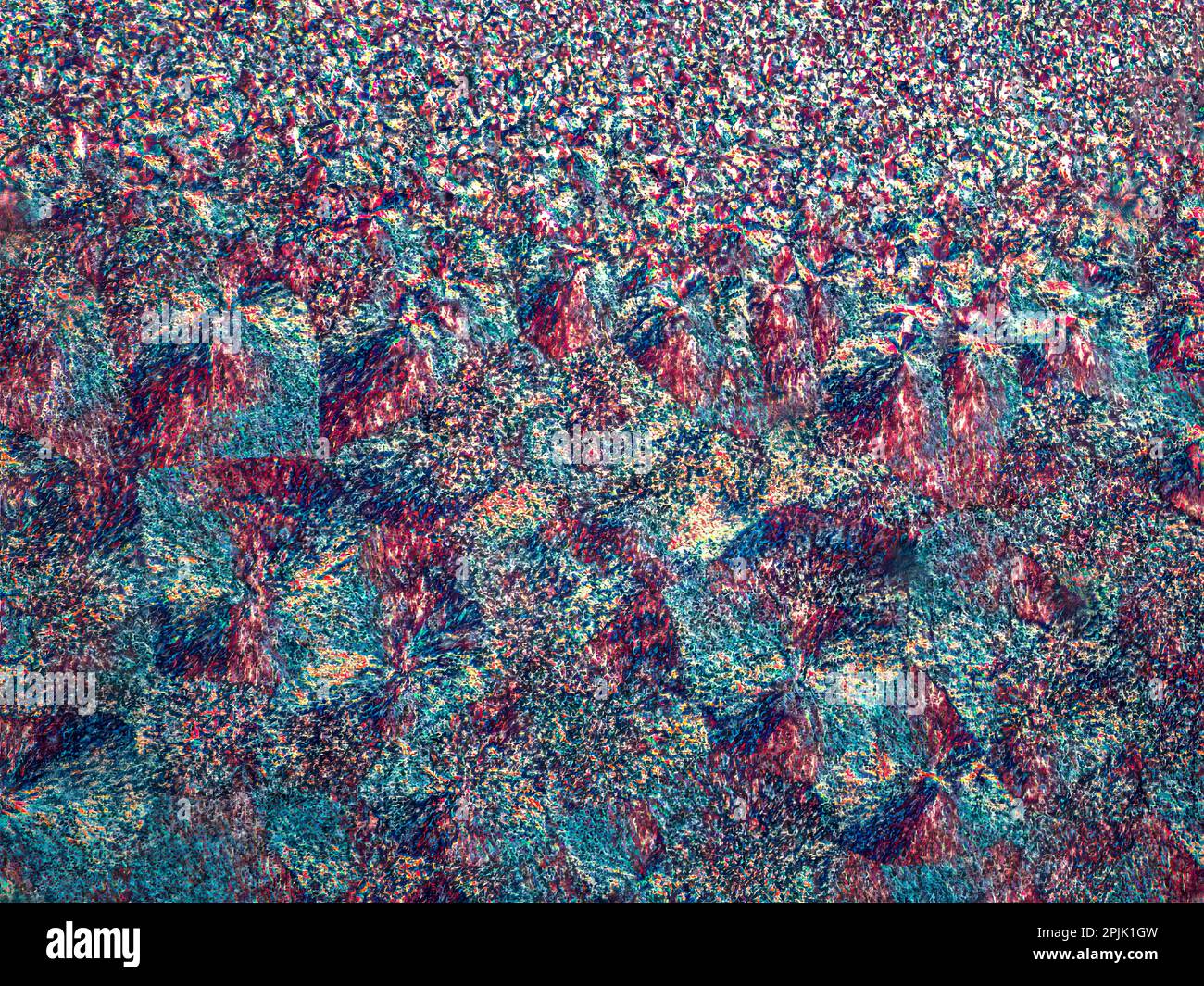 Cotton microscope hi-res stock photography and images - Alamy