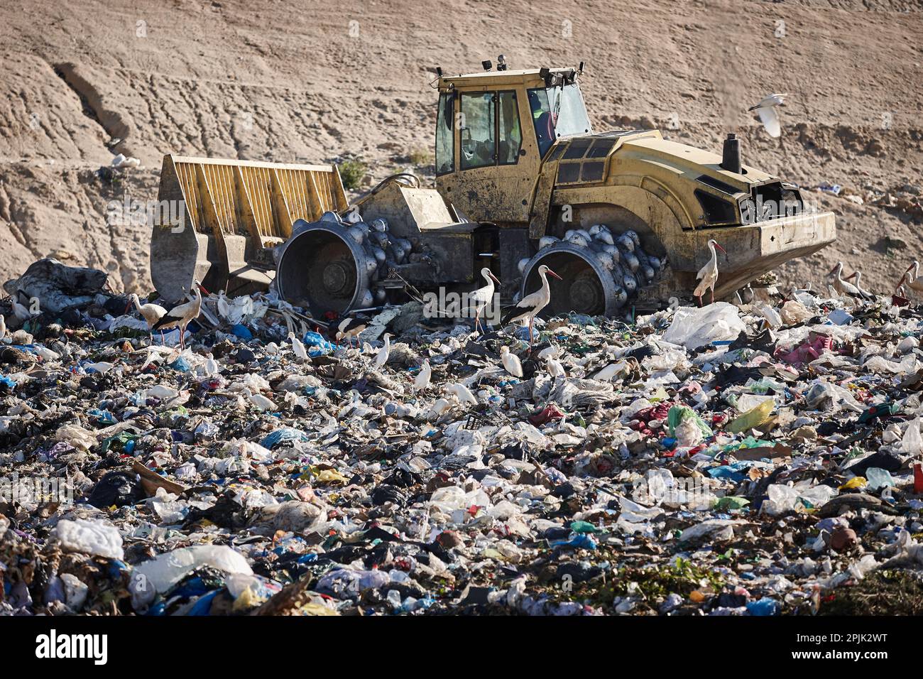 Heavy machinery shredding garbage in an open air landfill. Waste Stock ...
