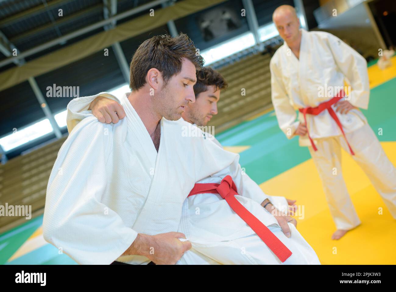 portrait of men in judo competition Stock Photo - Alamy
