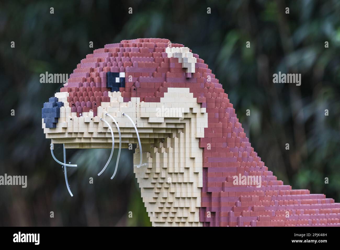 Close up of an otter sculpture made out of Lego bricks seen in ...