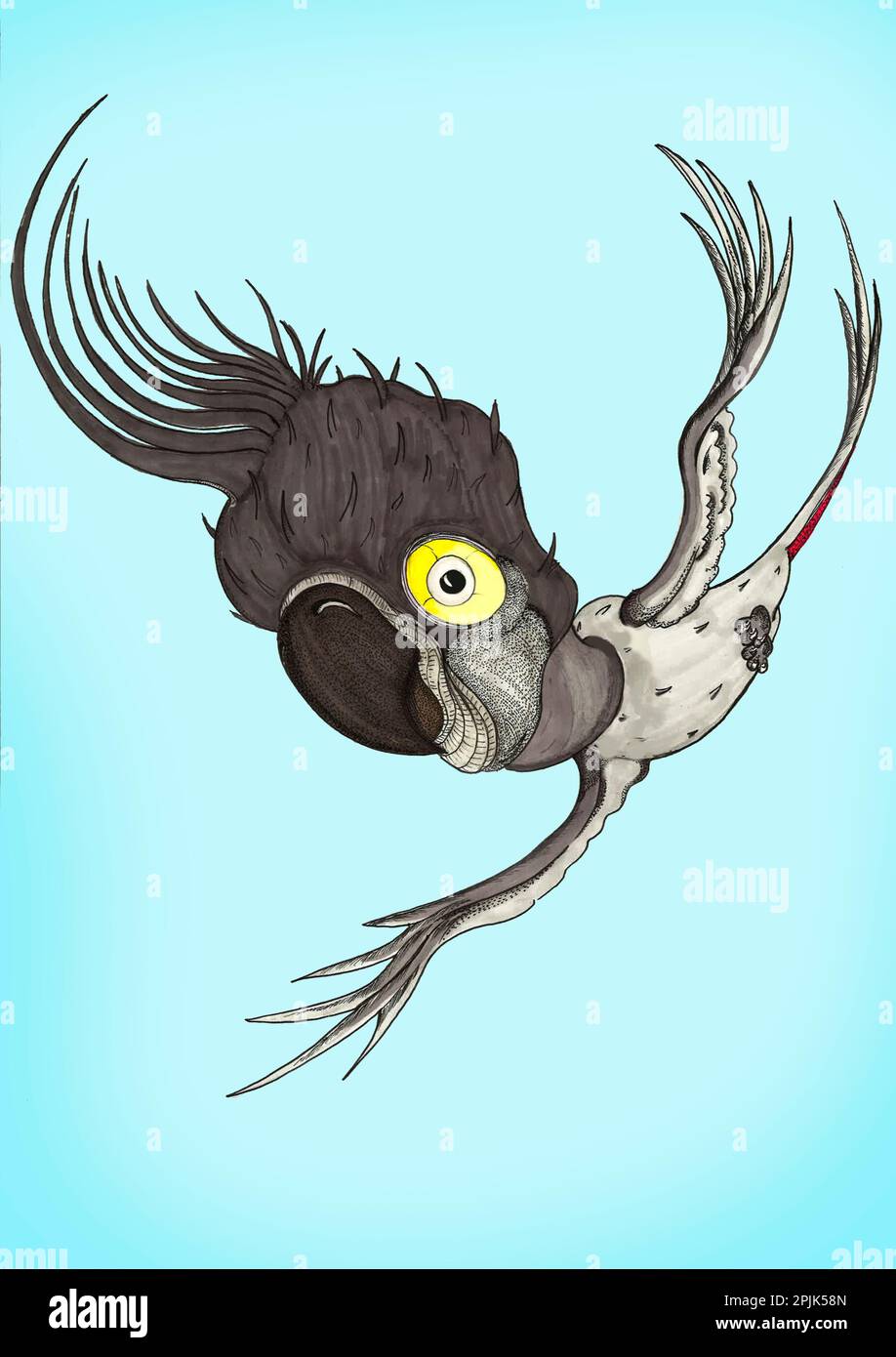 cartoon young black cackatoo illustration Stock Photo - Alamy