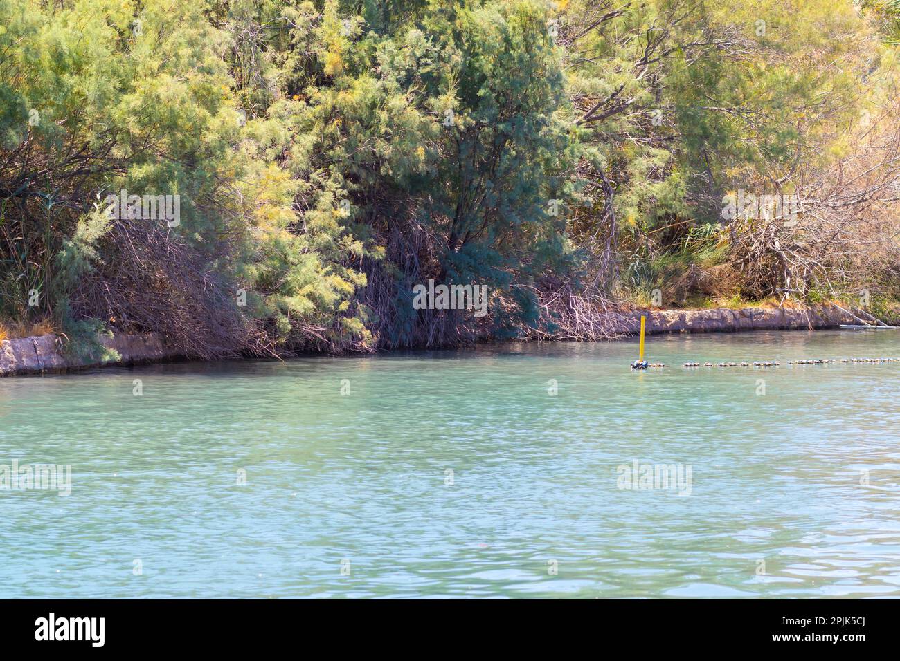 Nahal Hassi - flows within Kibbutz Nir David. The green beach Stock ...