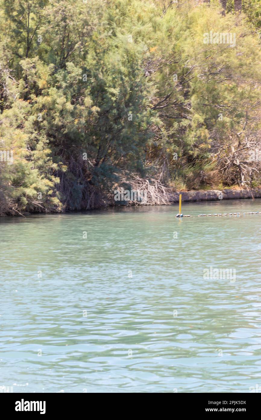 Nahal Hassi - flows within Kibbutz Nir David. The green beach Stock ...