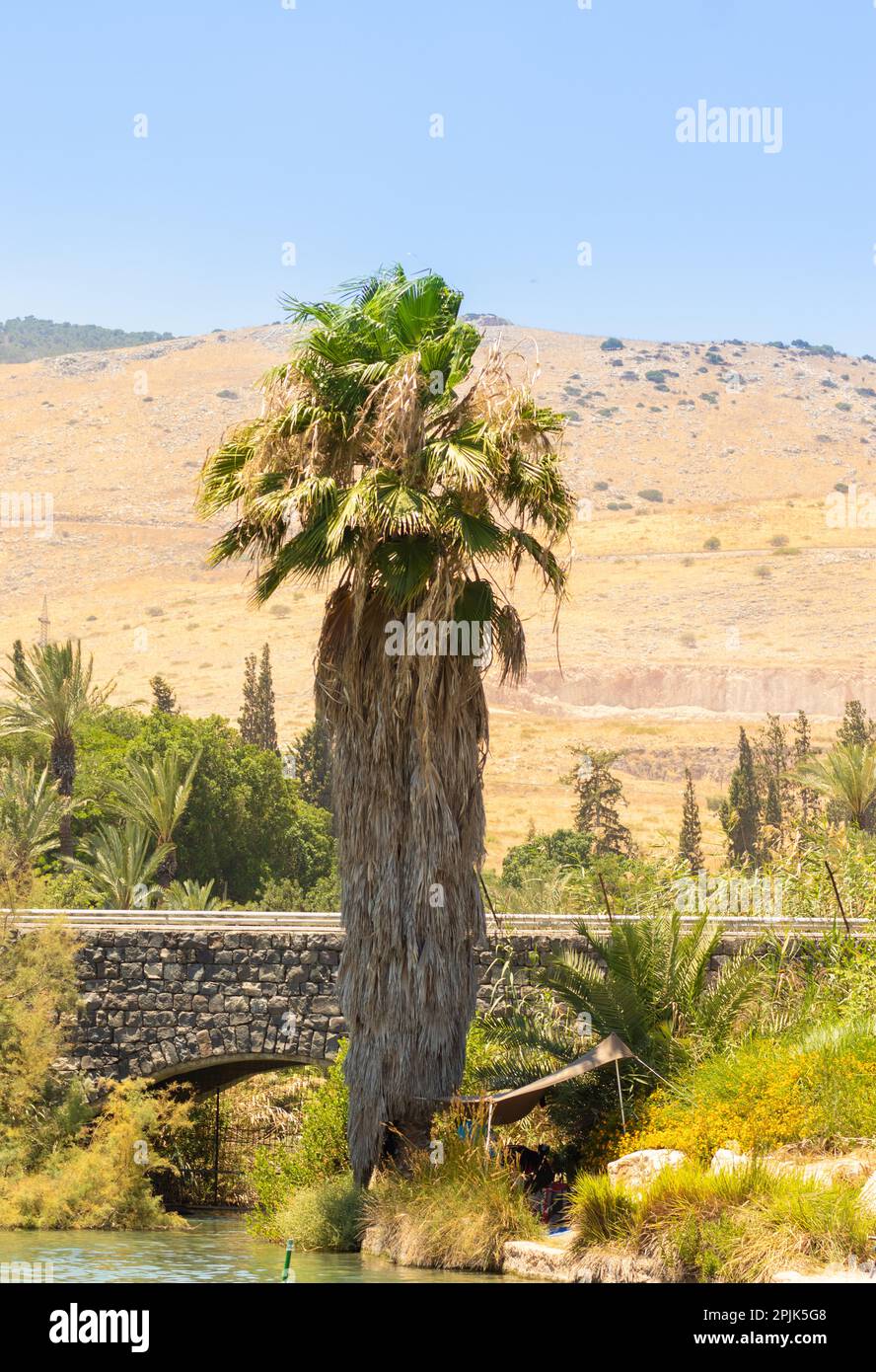 Nahal Hassi - flows within Kibbutz Nir David. The green beach Stock ...