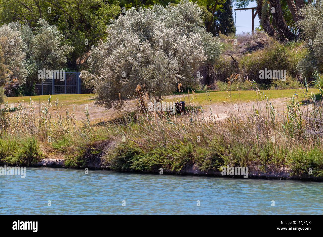 Nahal Hassi - flows within Kibbutz Nir David. The green beach Stock ...