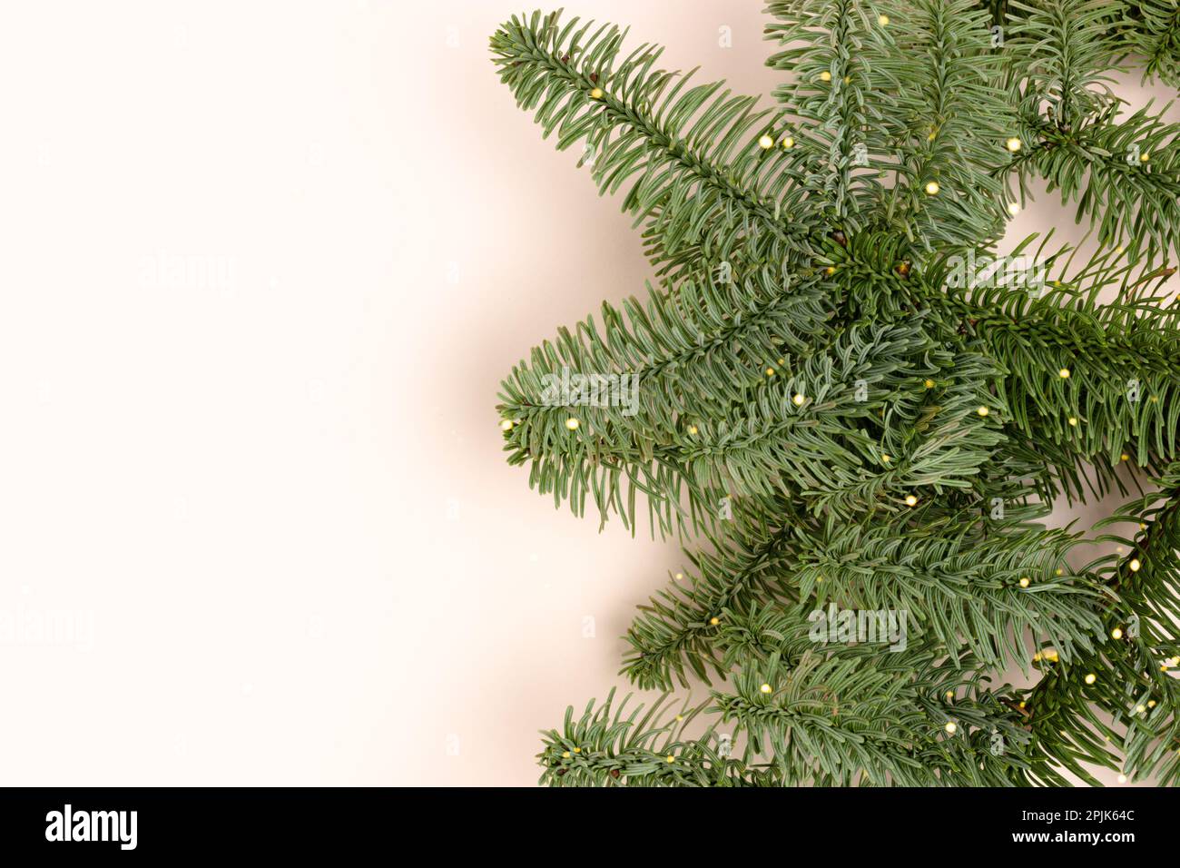 Green nobilis fir branches on a beige background. Place for your design ...