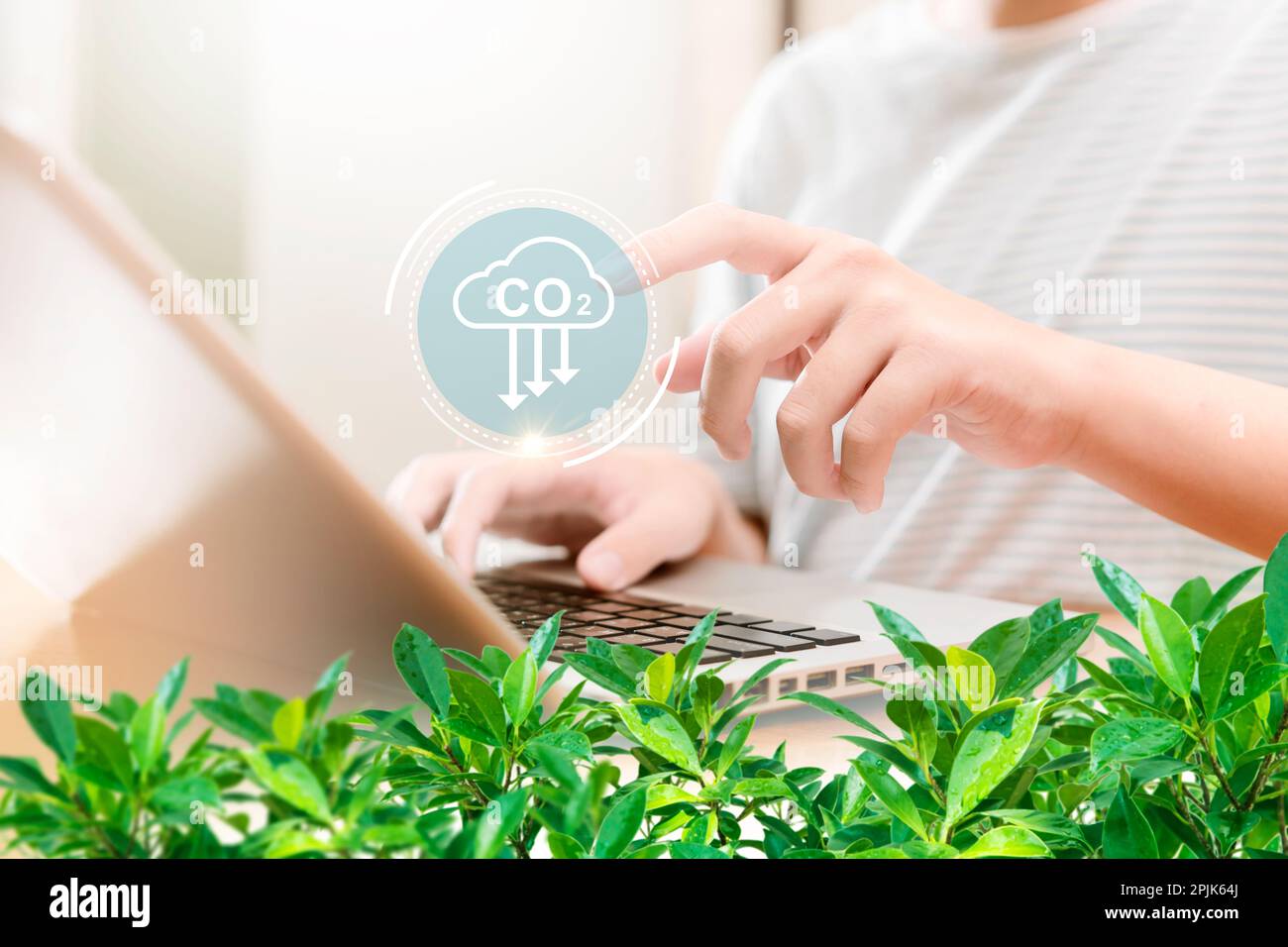 Teenage men use laptops to analyze Reduce CO2 emission for ...