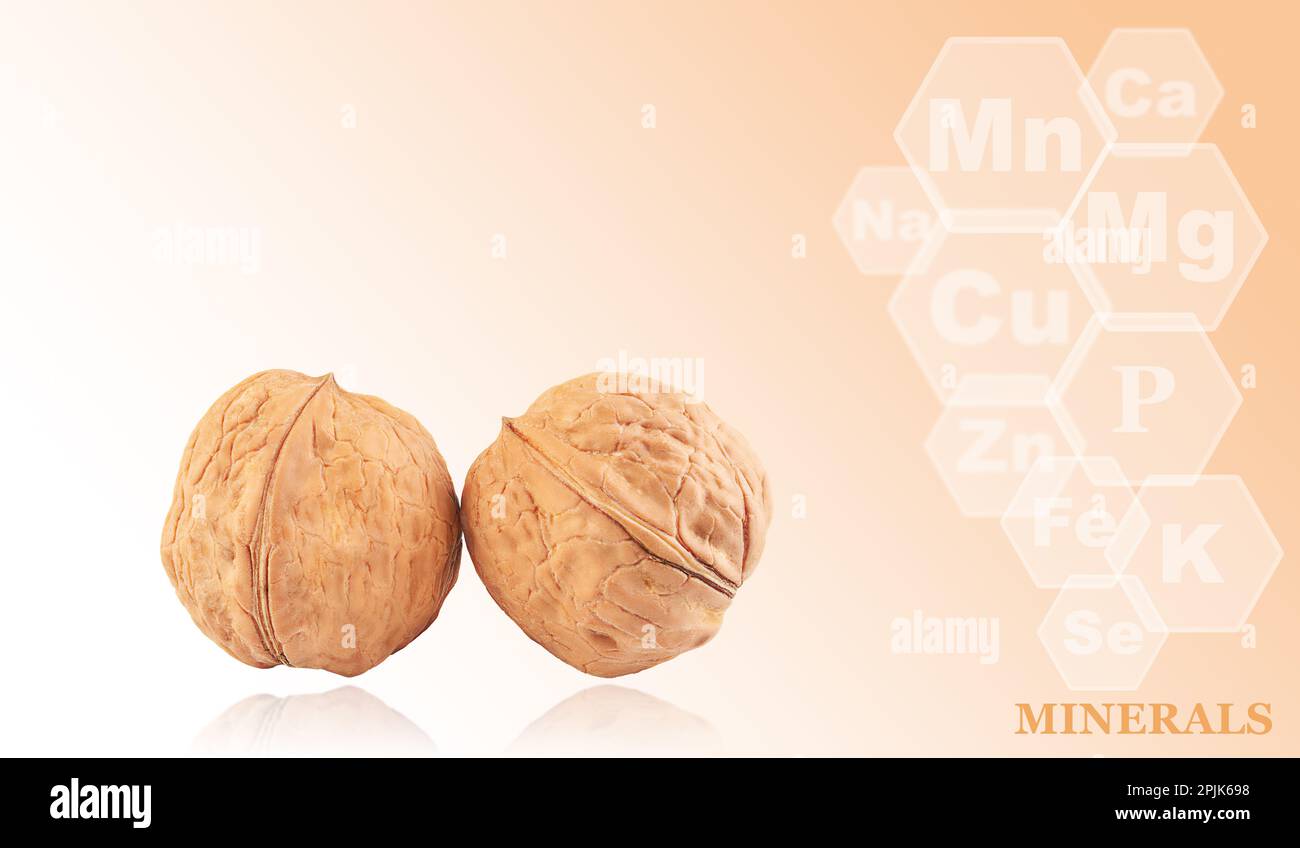 Nutcracker markings hi-res stock photography and images - Alamy