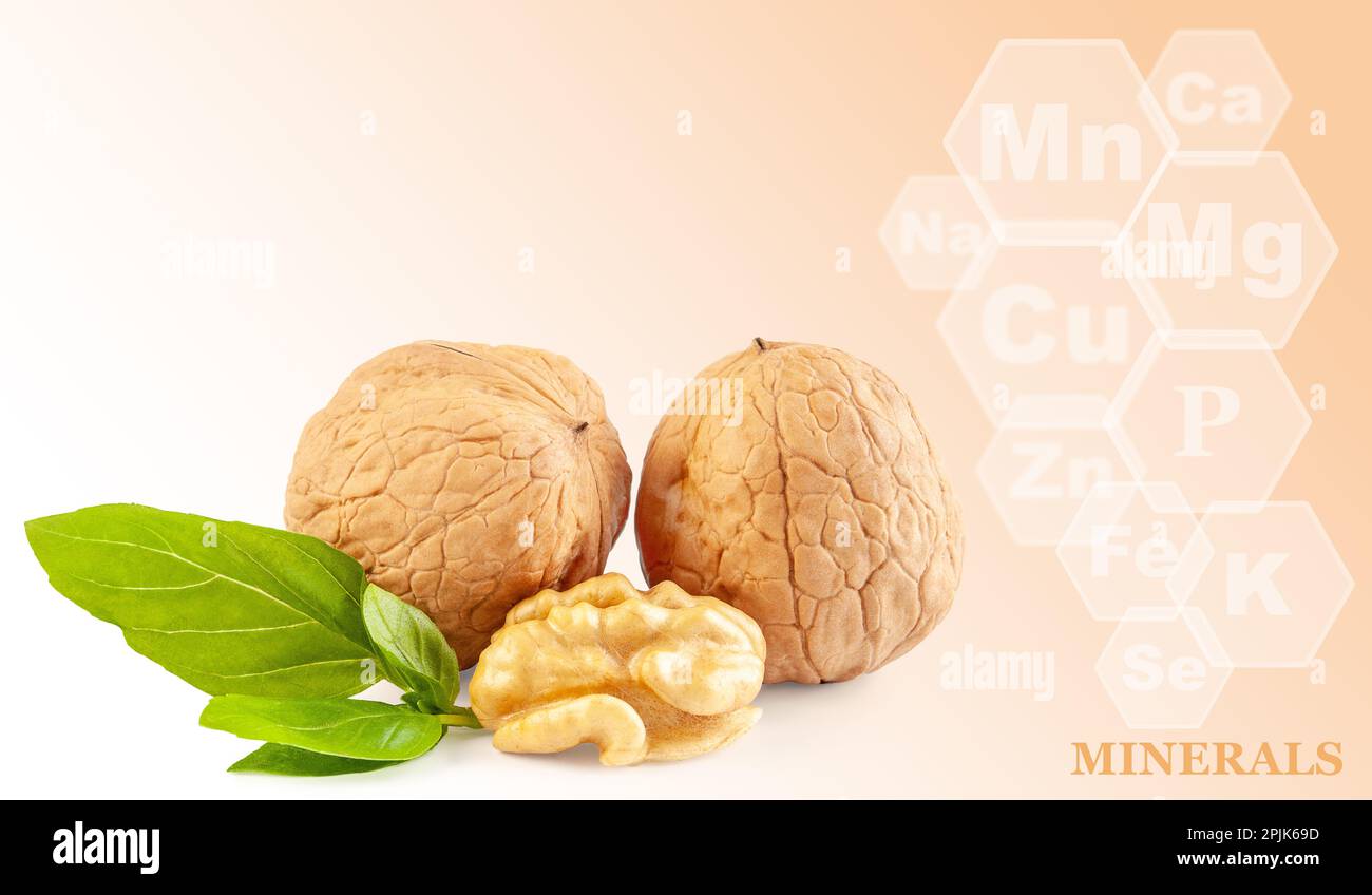 fresh kernels, broken and whole walnuts close-up isolated on color ...