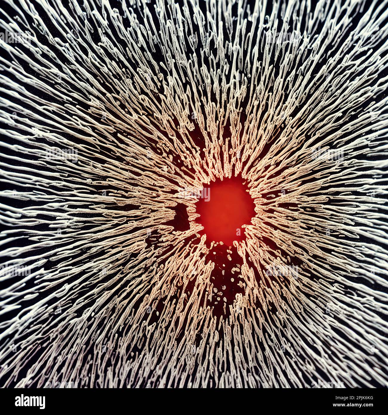 Fluorescence microscopy dna hi-res stock photography and images - Alamy