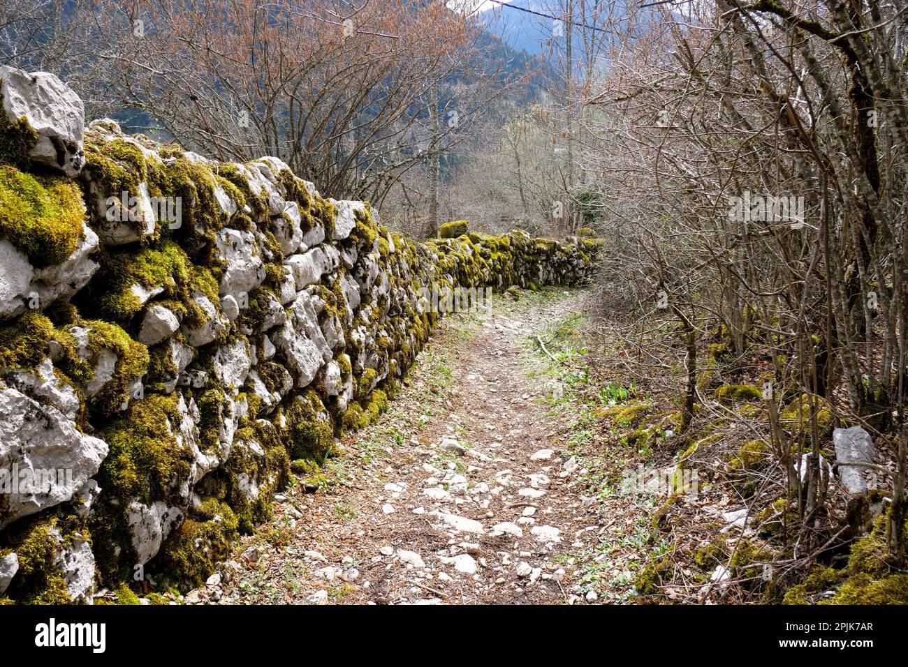 Pedestrian path, Saint-Pierre de Chartreuse, Isere, AURA Region, France ...