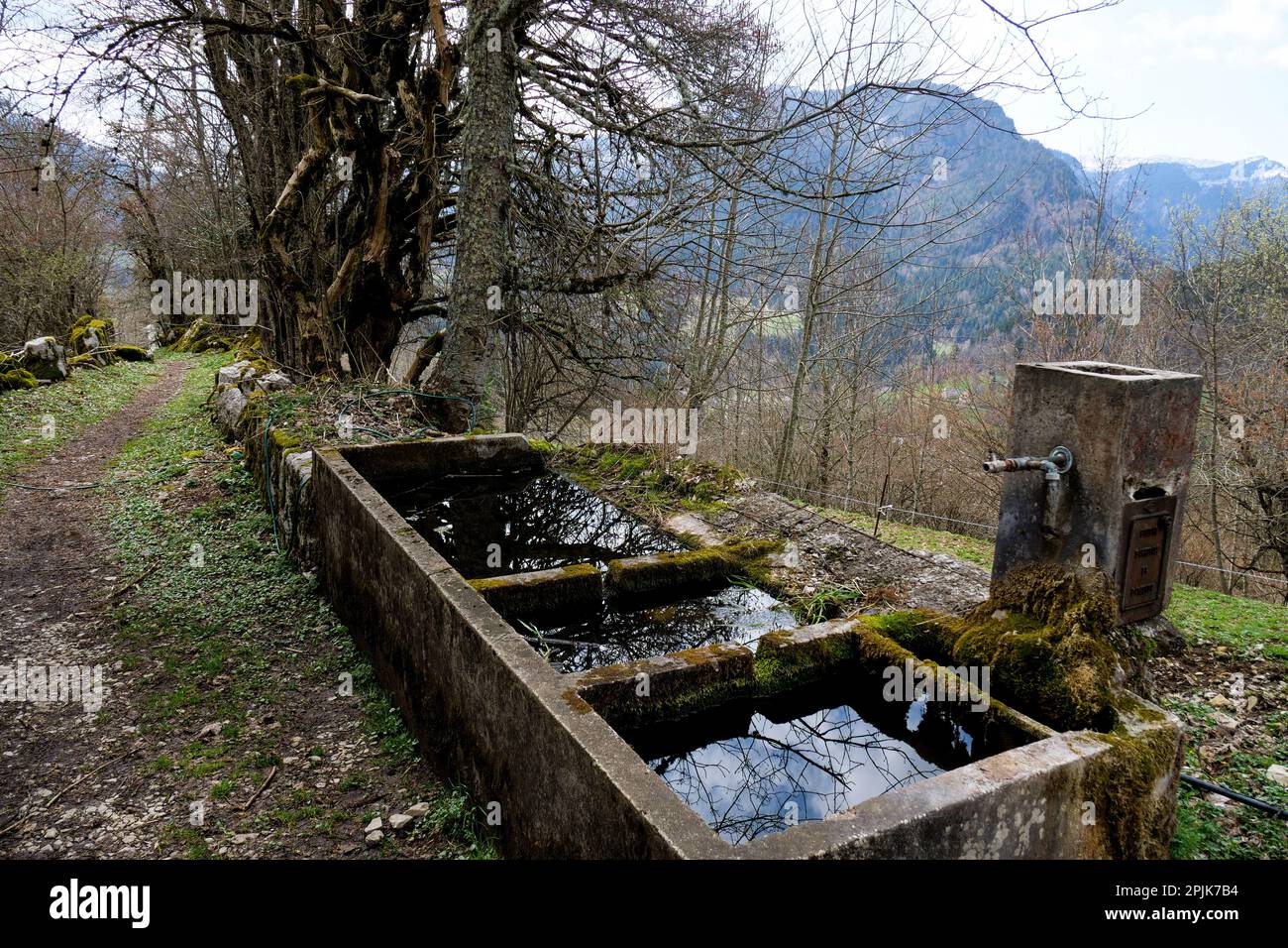 Trough covered with foam, part of an old farm, Saint-Pierre de ...