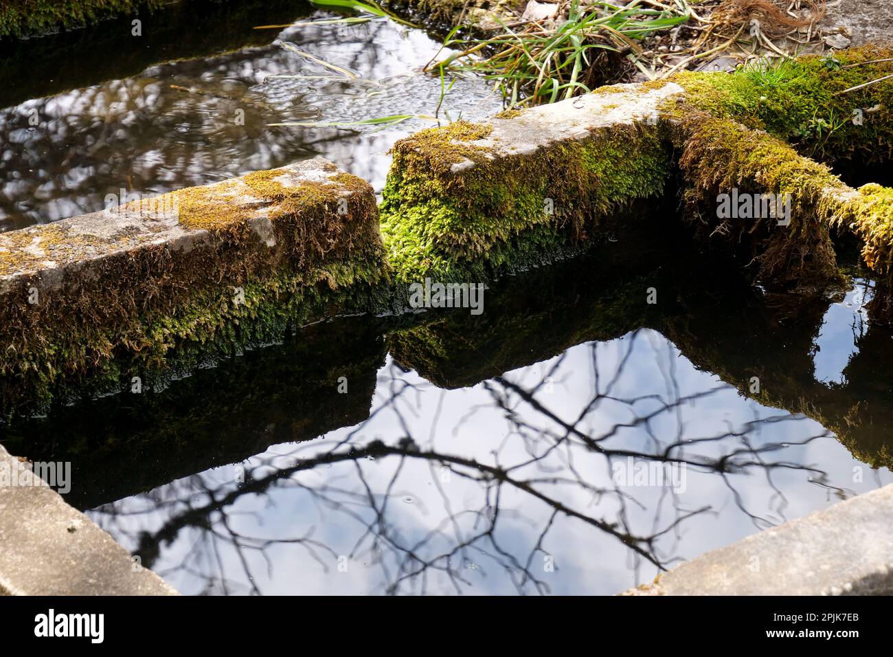 Trough covered with foam, part of an old farm, Saint-Pierre de ...