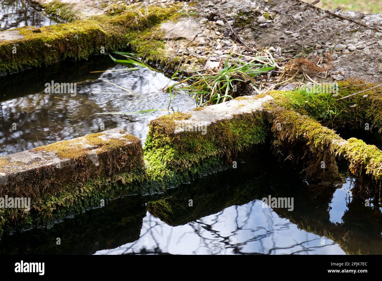 Trough covered with foam, part of an old farm, Saint-Pierre de ...