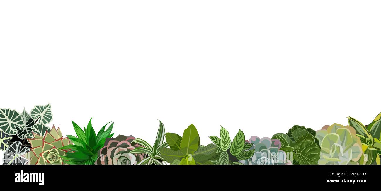 House plants and Tropical leaves vector border Stock Vector Image & Art ...