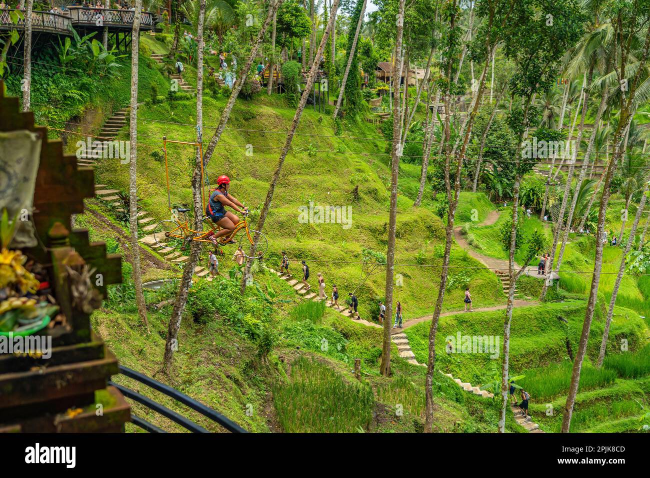 Woman on rice terraces hi-res stock photography and images - Alamy
