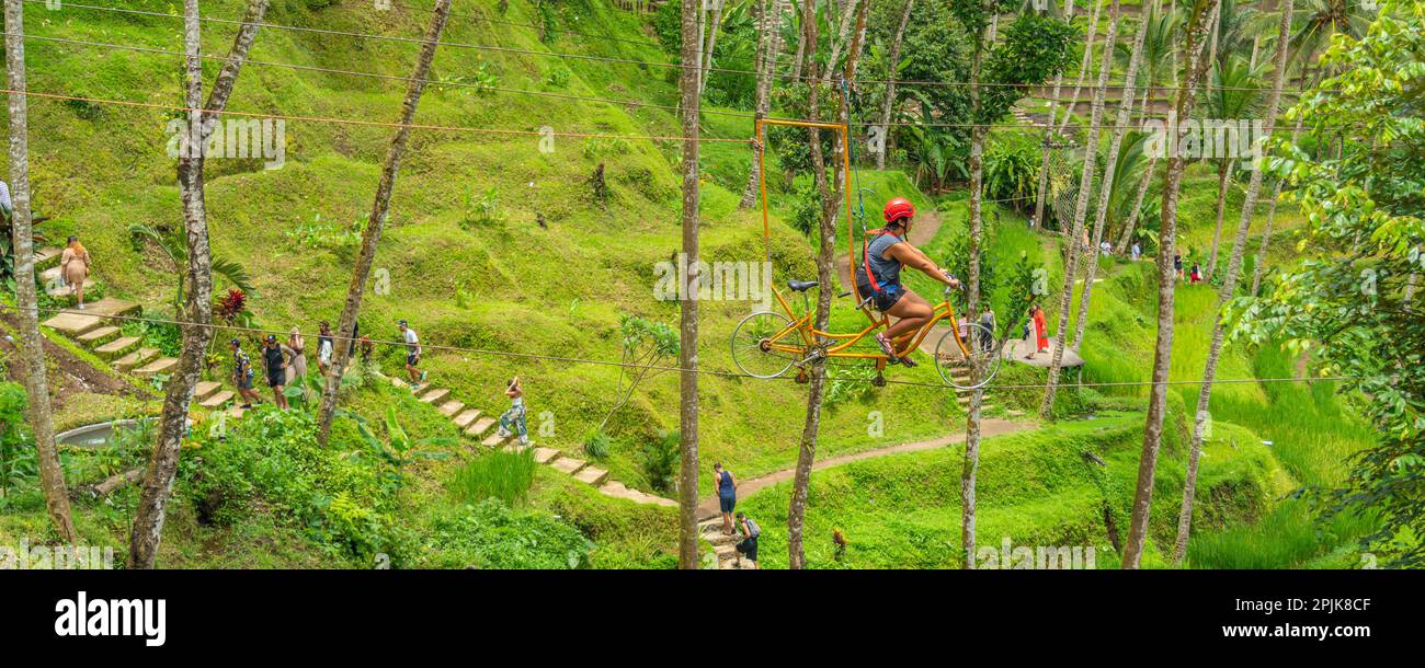 Thailand rice fields bicycle hi-res stock photography and images - Alamy