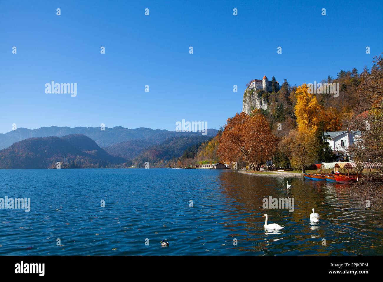 Bled Castle built on top of a cliff overlooking lake Bled, located in ...