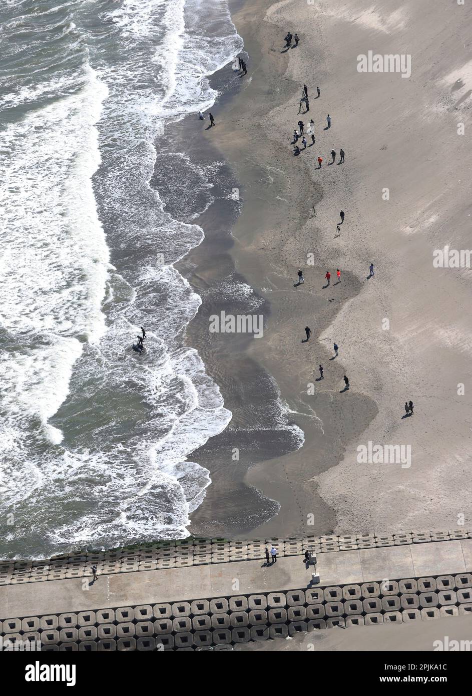 An aerial photo shows dolphin washed up on the beach in Ichinomiya Town ...