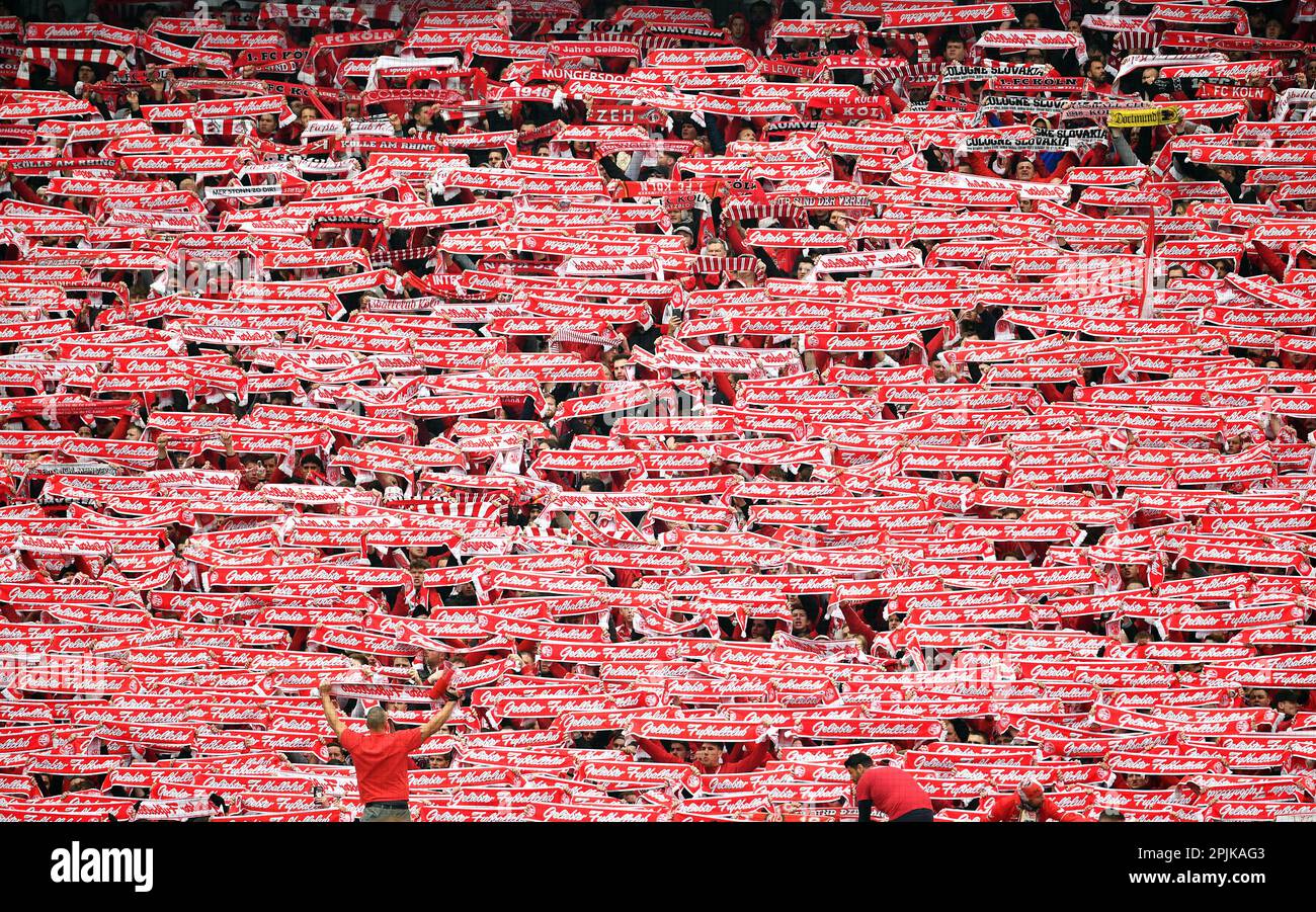 Bundesliga, Rhein Energie Stadium Cologne: 1. FC Köln vs Borussia ...