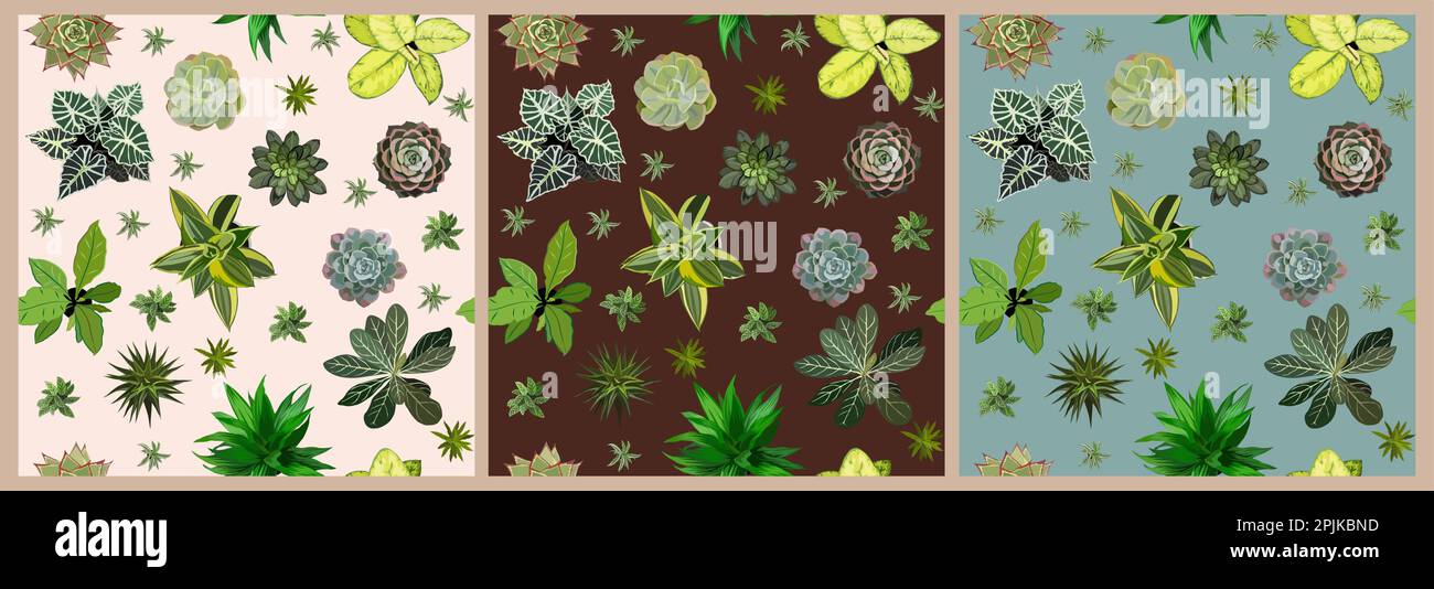 Potted house plants top view seamless pattern Stock Vector Image & Art ...