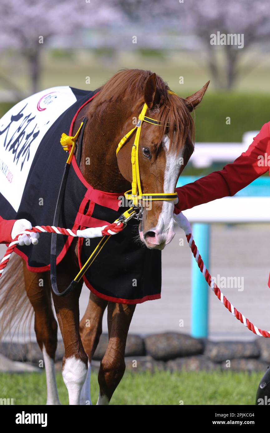 Jack dor hi-res stock photography and images - Alamy