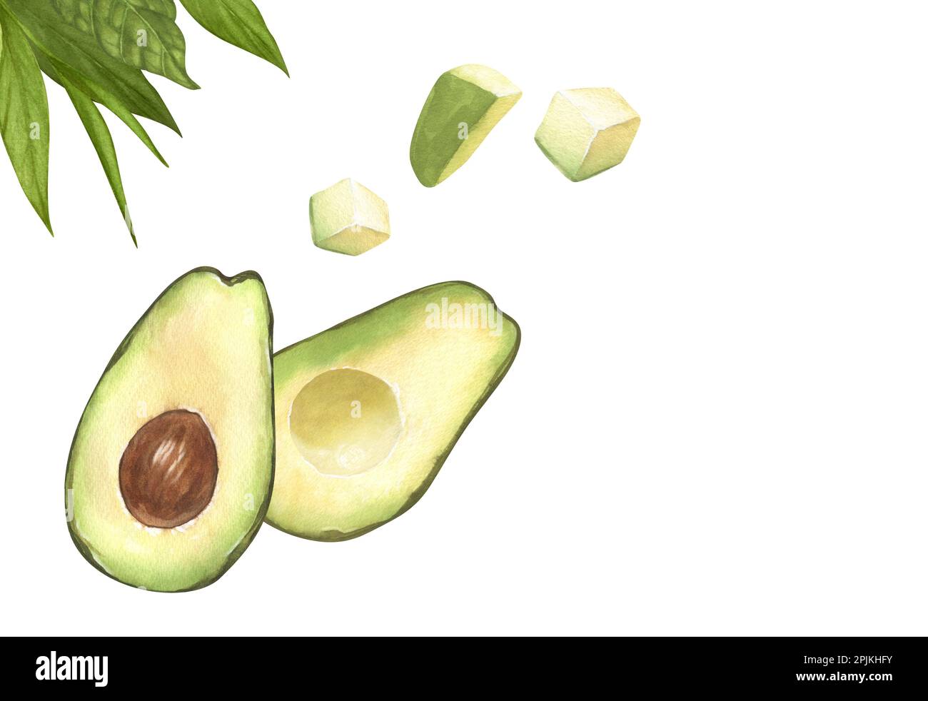 Watercolor ripe avocado frame. Hand-drawn illustration isolated on ...