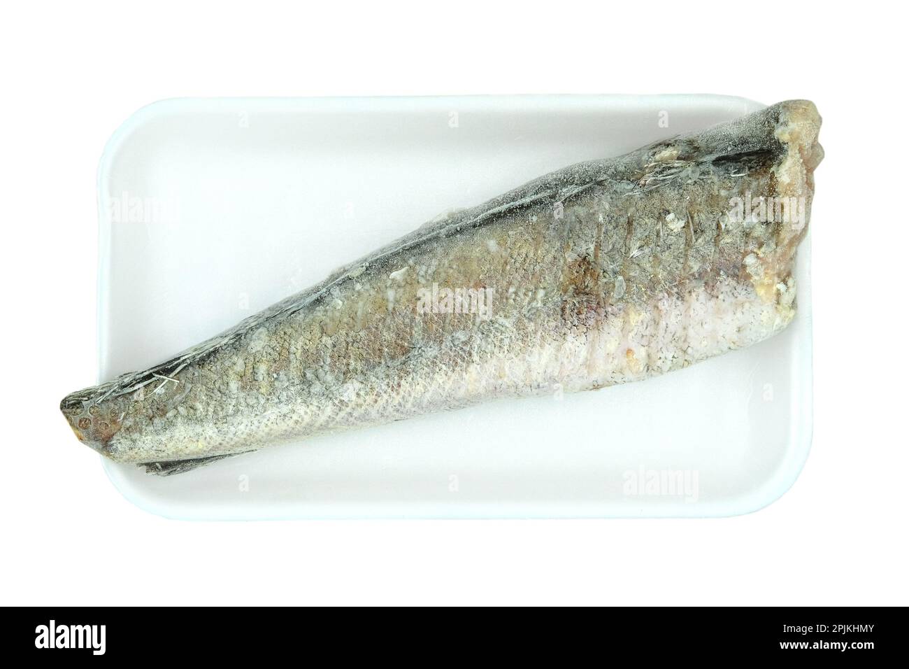 Fish frozen fillet hake on a plate isolated on white background. Top ...