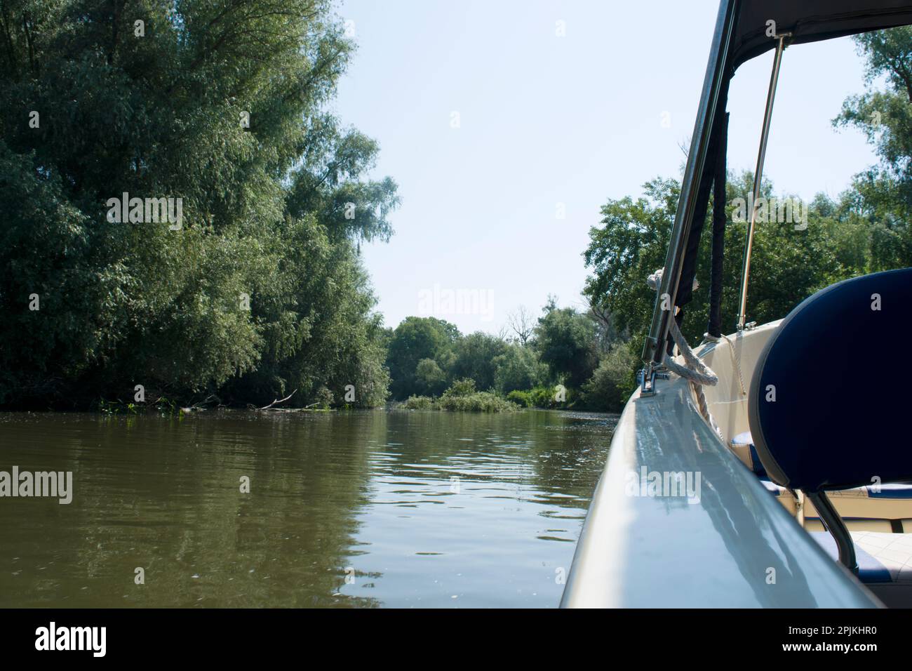 Wild and aquatic nature in the Danube Delta ecosystem: boat ride on one ...