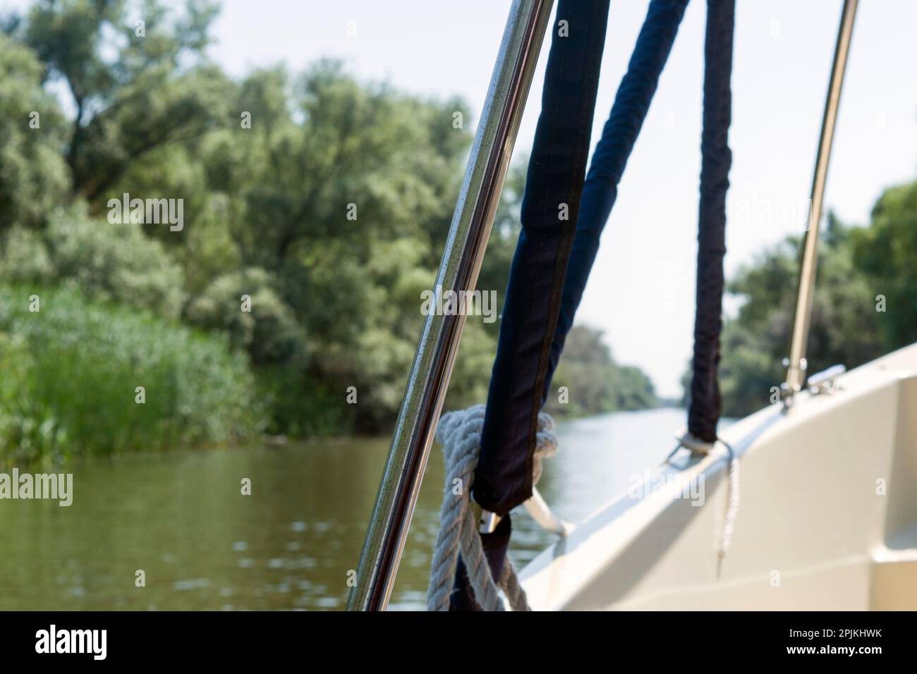 Wild and aquatic nature in the Danube Delta ecosystem: boat ride on one ...