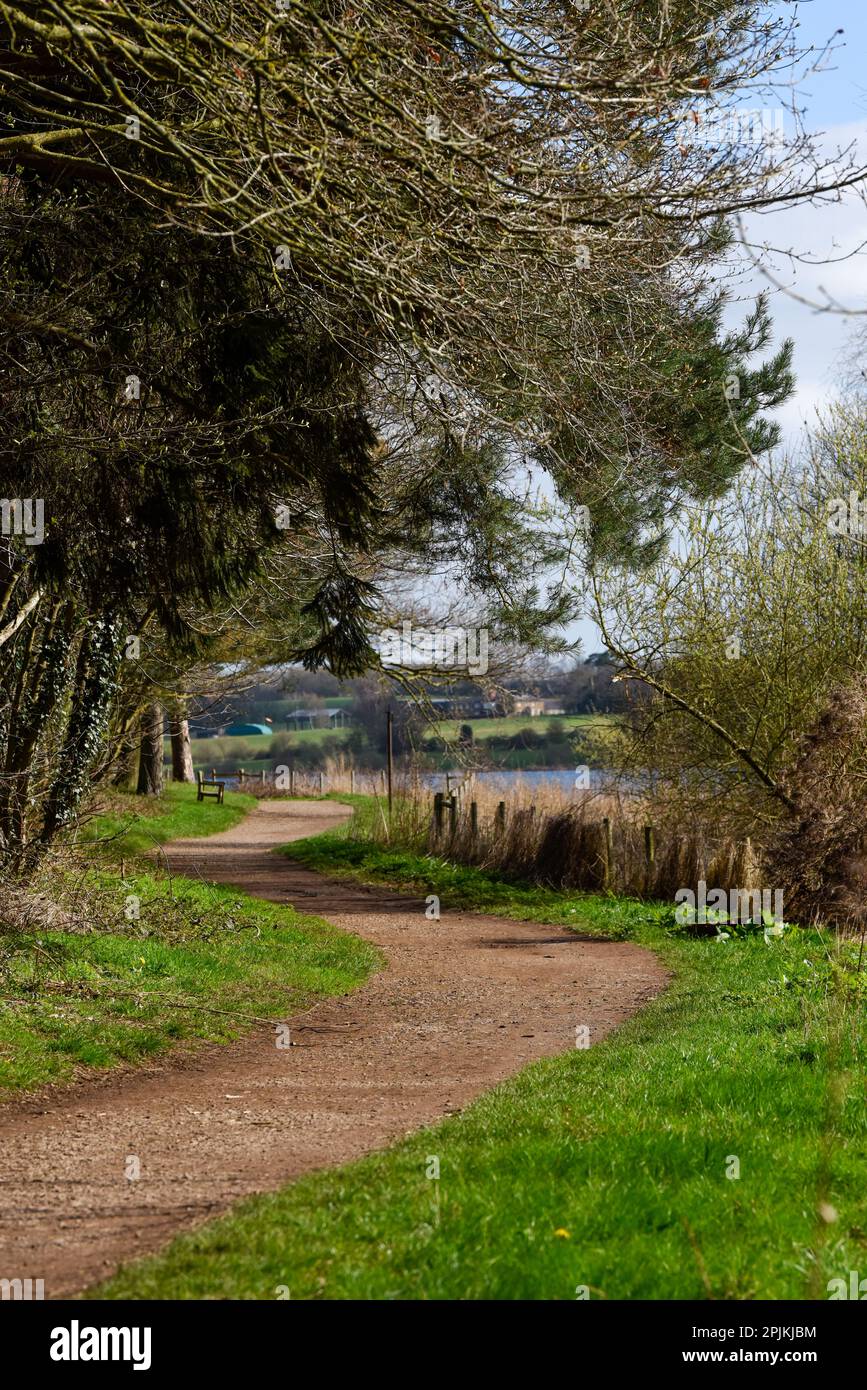 Footpath winding trough a forest walking route with a river on the ...