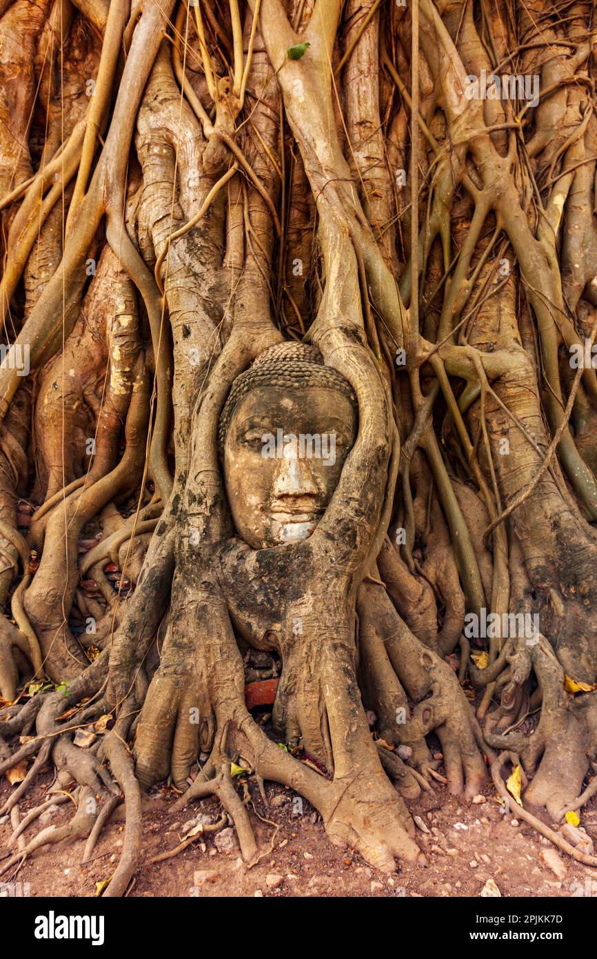 Brown buddha hi-res stock photography and images - Alamy