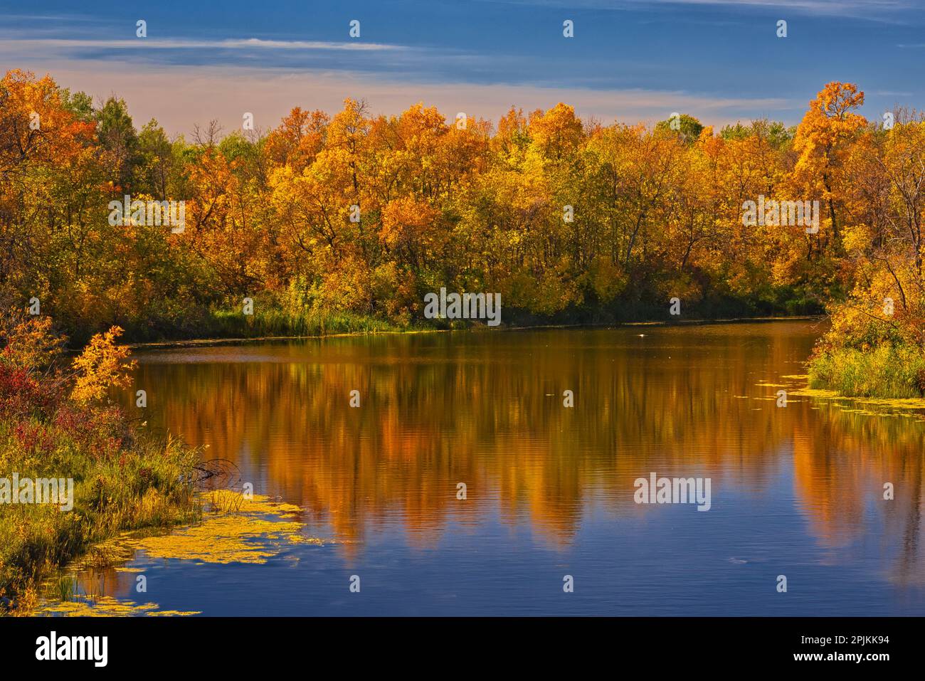 Mike grandmaison hi-res stock photography and images - Alamy