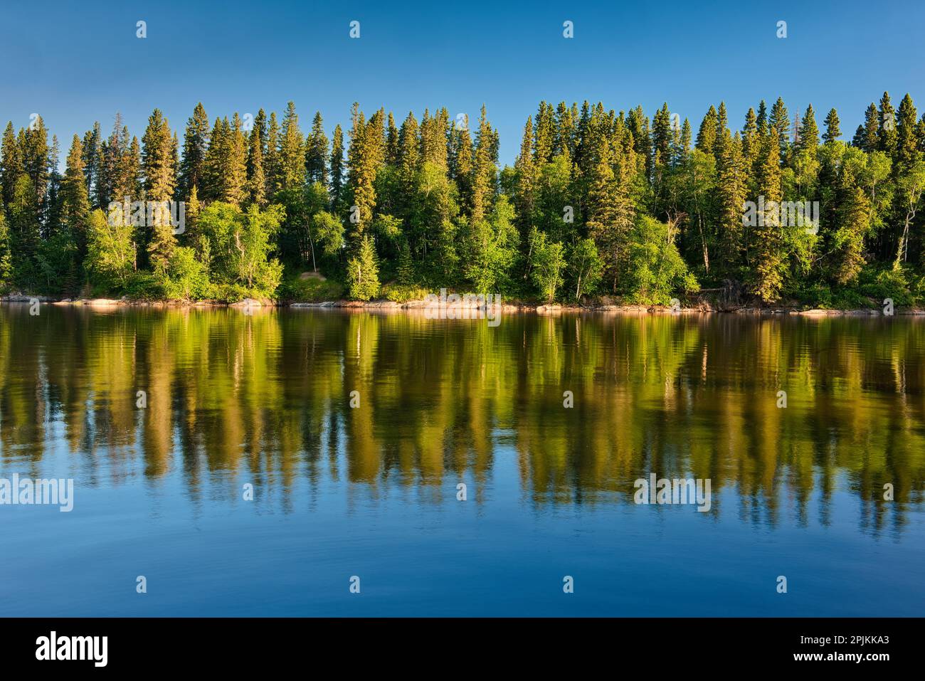 Canada, Manitoba, Paint Lake Provincial Park. Forest reflections on ...