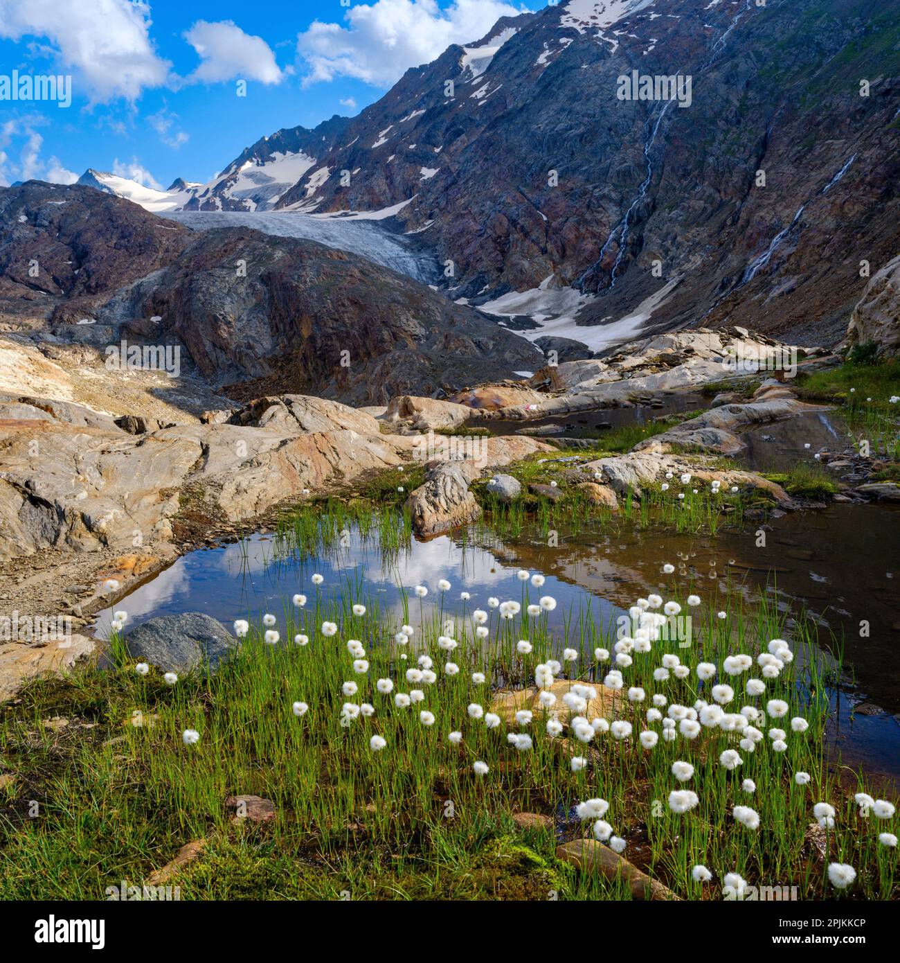 Central park gras hi-res stock photography and images - Alamy