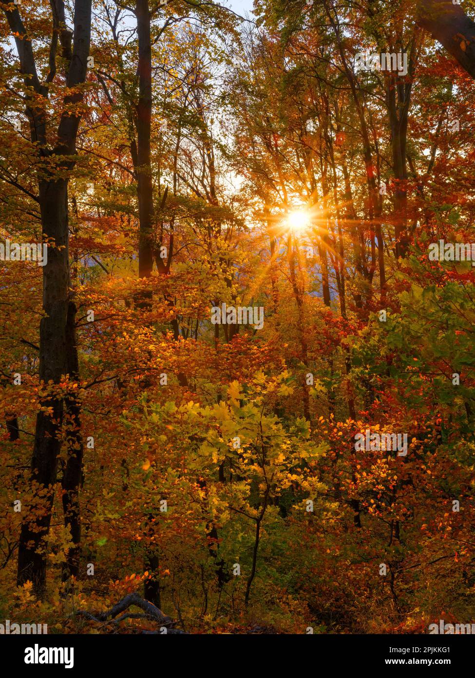 Koszegi hegyseg hi-res stock photography and images - Alamy