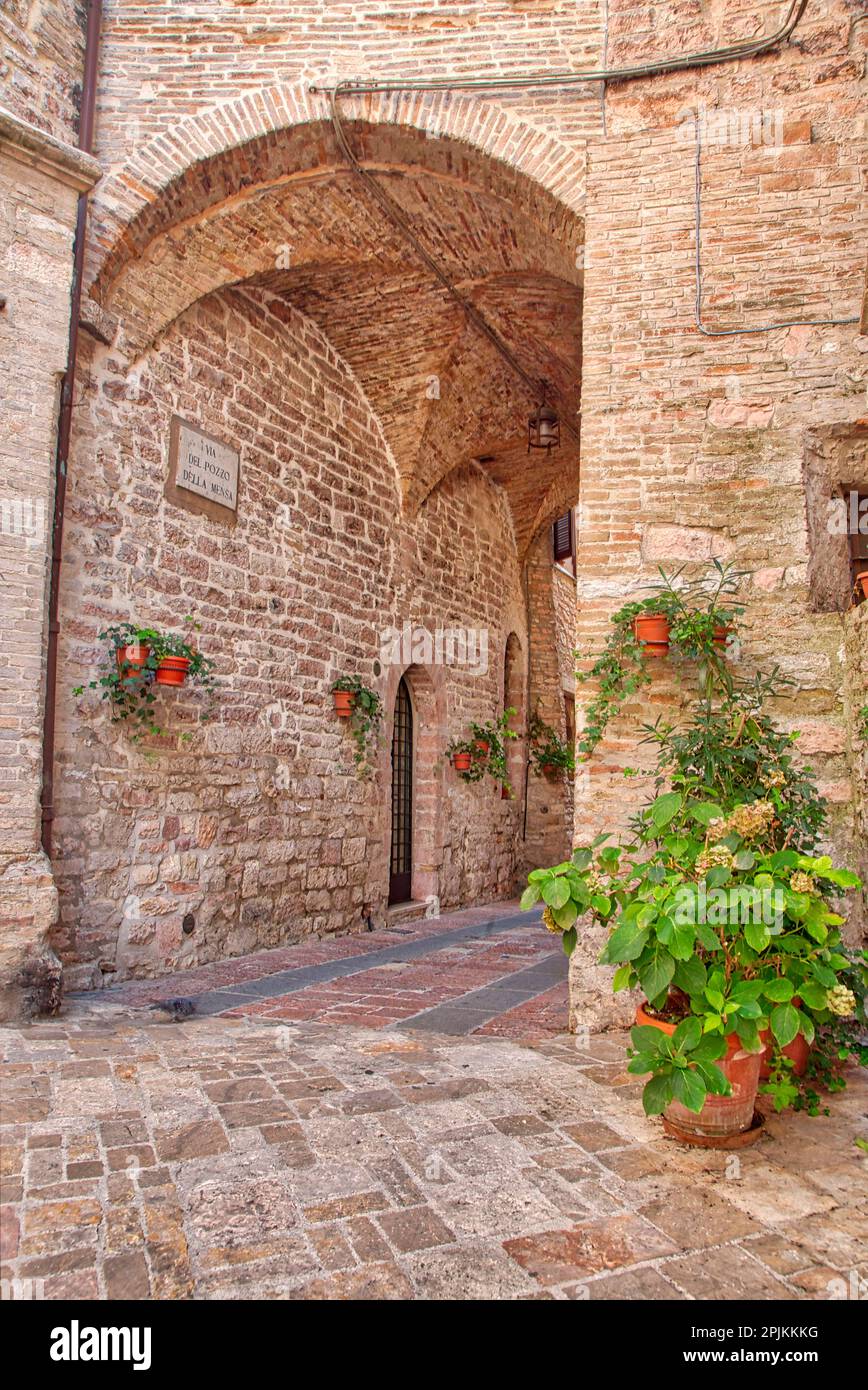 Italy, Umbria. Archway with potted flowers in the streets of Assisi Stock Photo - Alamy