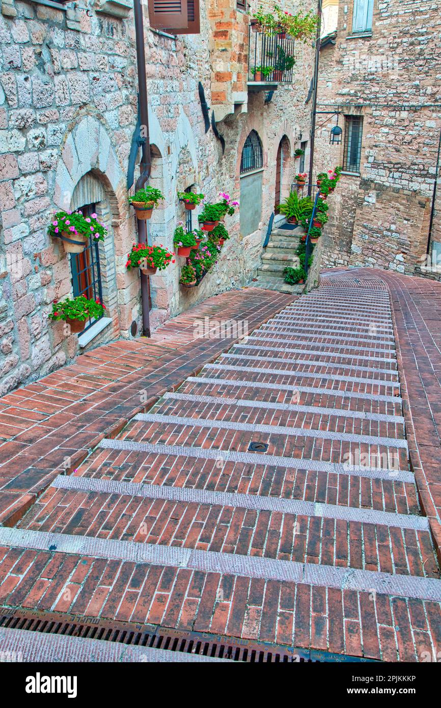 Italy, Umbria, Assisi. Walkway along the streets of Assisi lined with ...