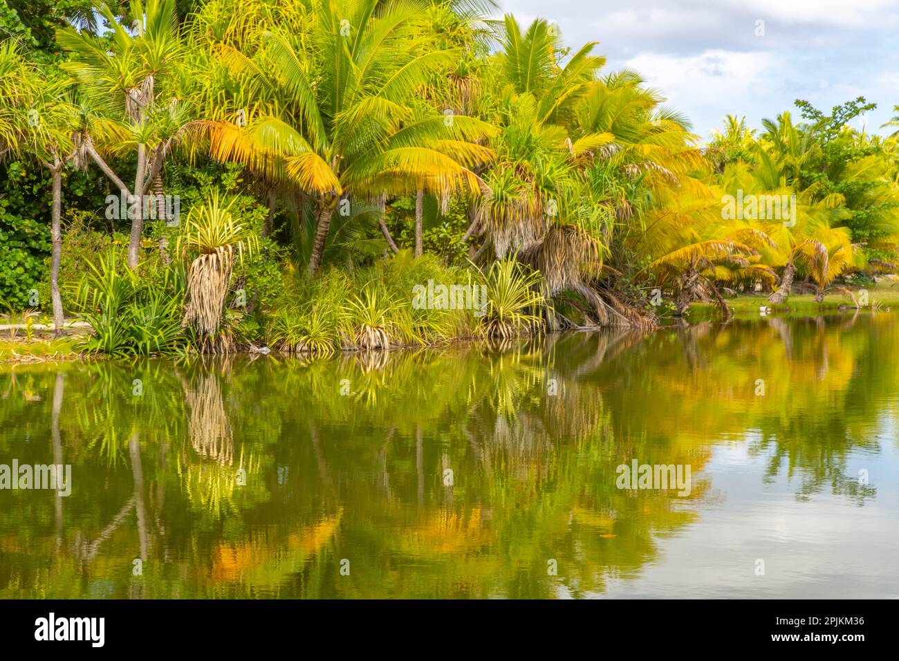 French Polynesia, Taha'a. Tropical lagoon and jungle Stock Photo - Alamy