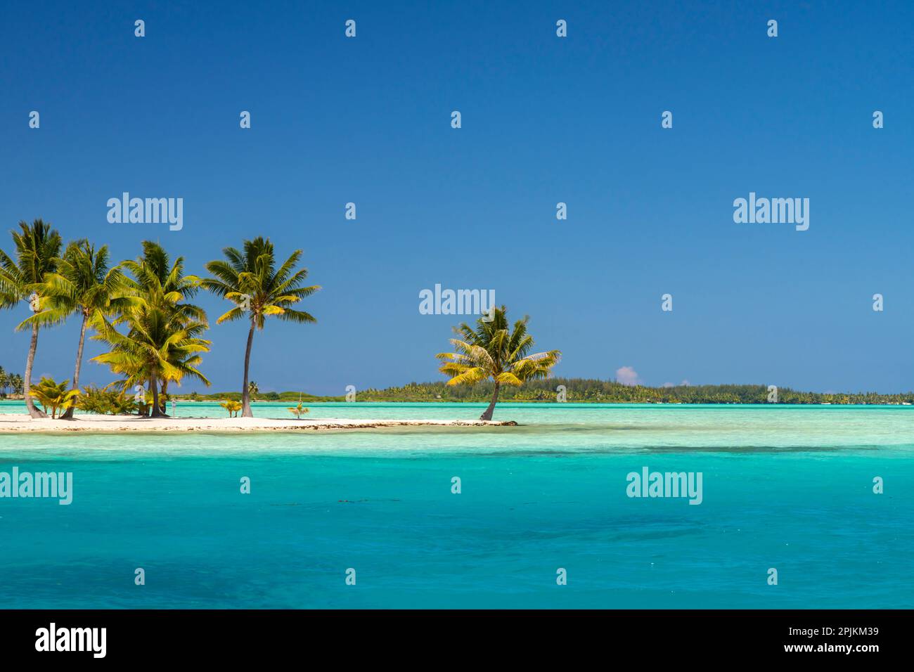 French Polynesia, Bora Bora. Motu Tane private island in lagoon Stock Photo - Alamy