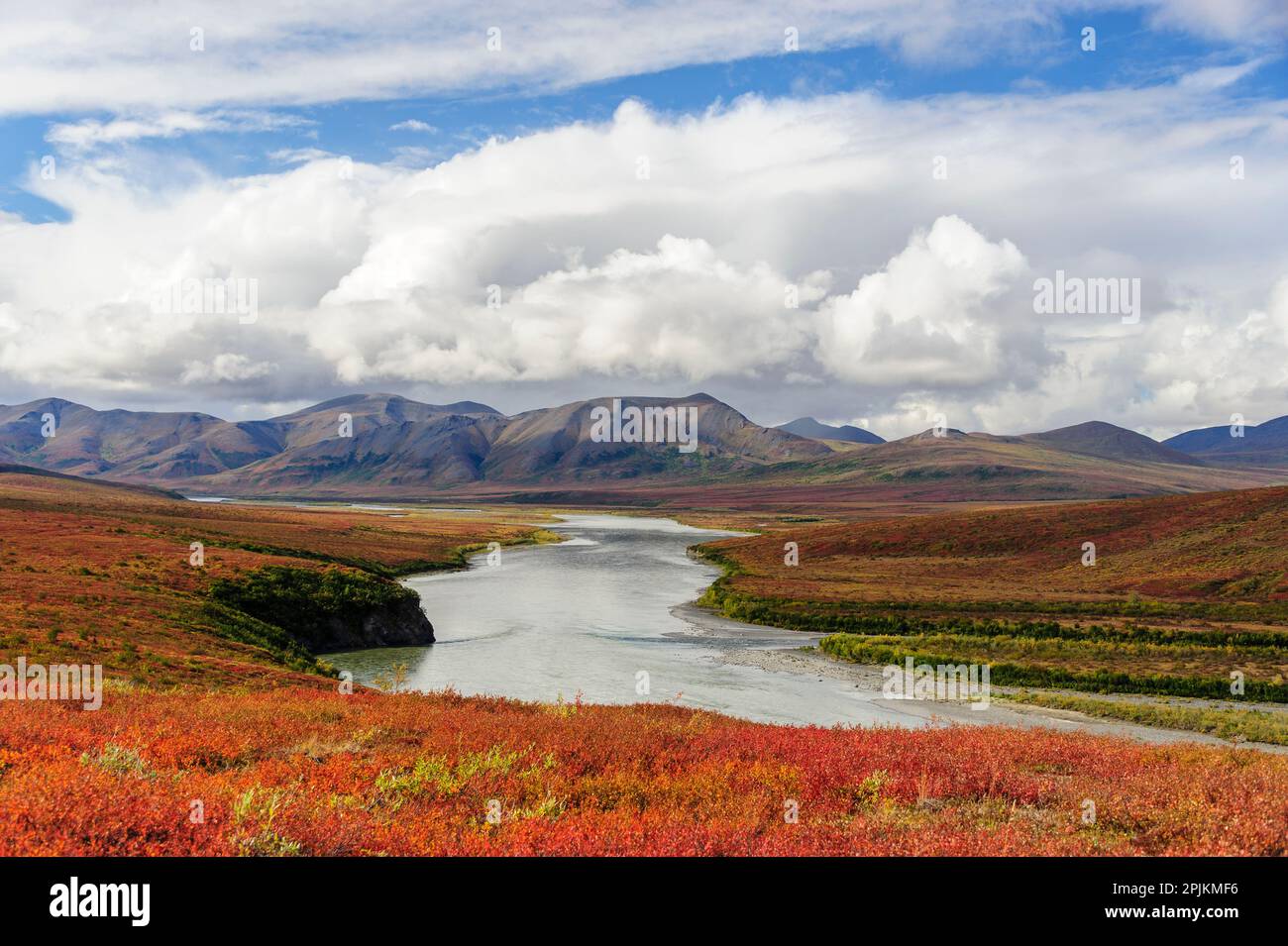 USA, Alaska, Noatak National Preserve. Arctic tundra in autumn colors ...